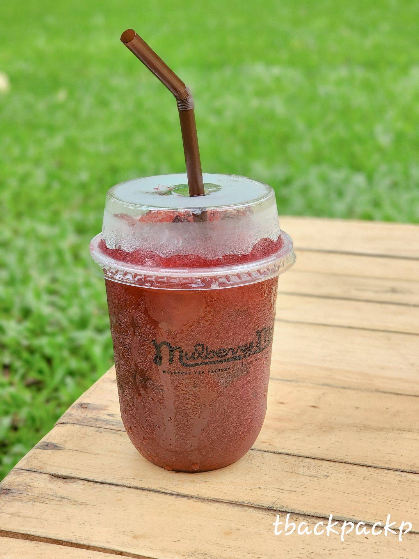 มัลเบอรี่เย็น ร้าน Mulberry Mellow แคชเชียร์ร้าน 1