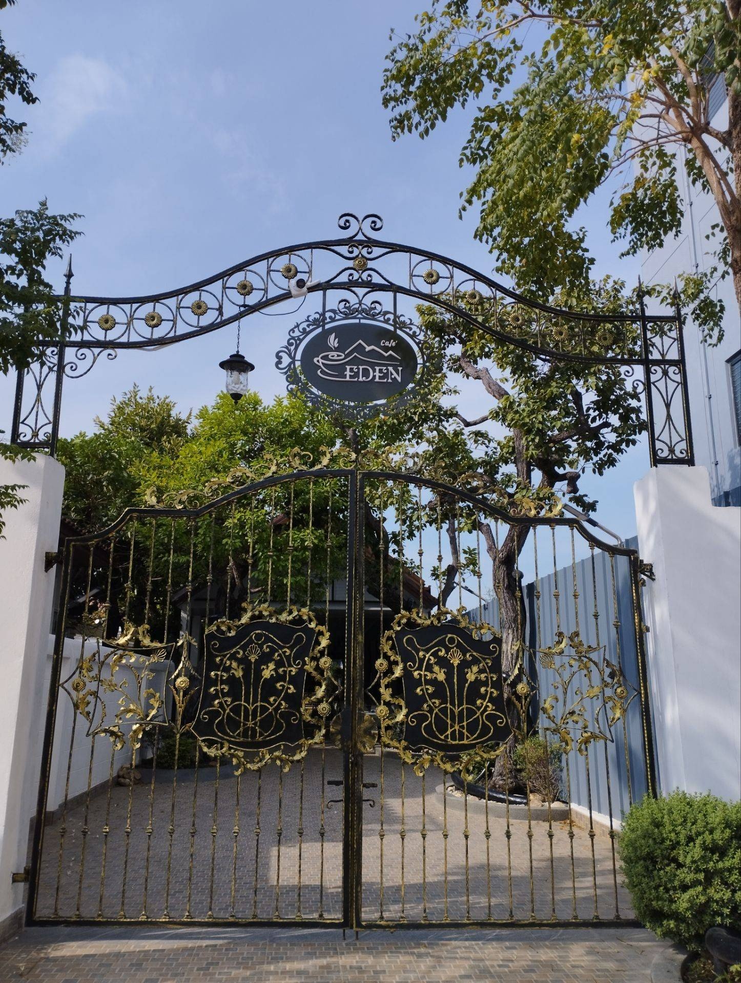 รีวิว Eden Cafe 1 - ไม่ลองแล้วจะรู้ได้ไง