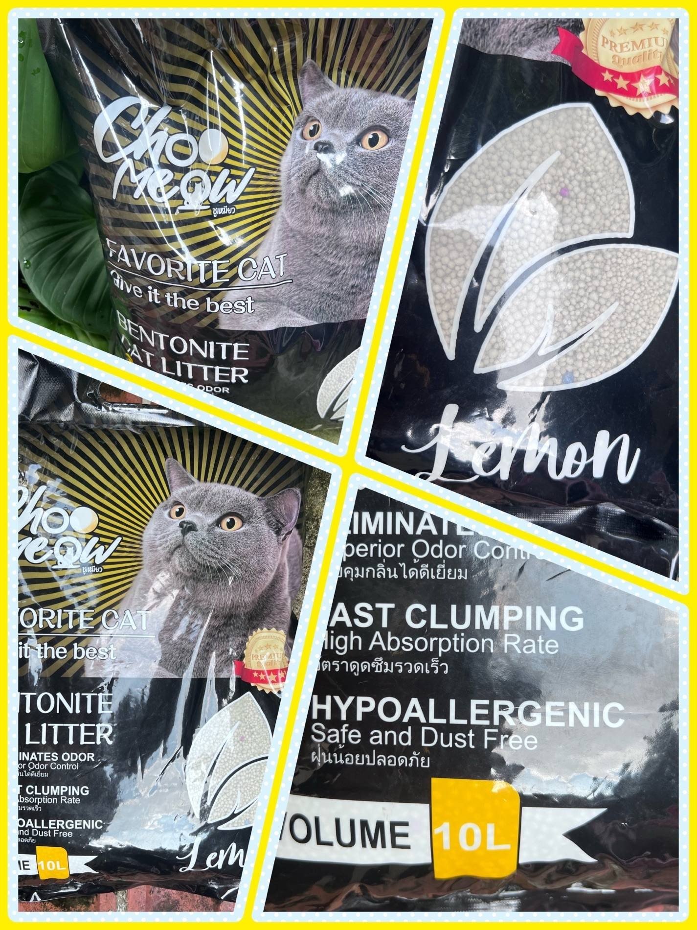 ร้าน Slick Cat ทรายแมว