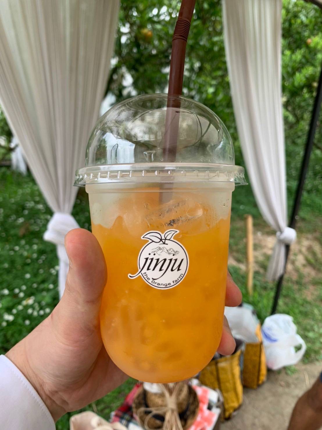 รูป สวนส้มจินจู JINJU the orange farm