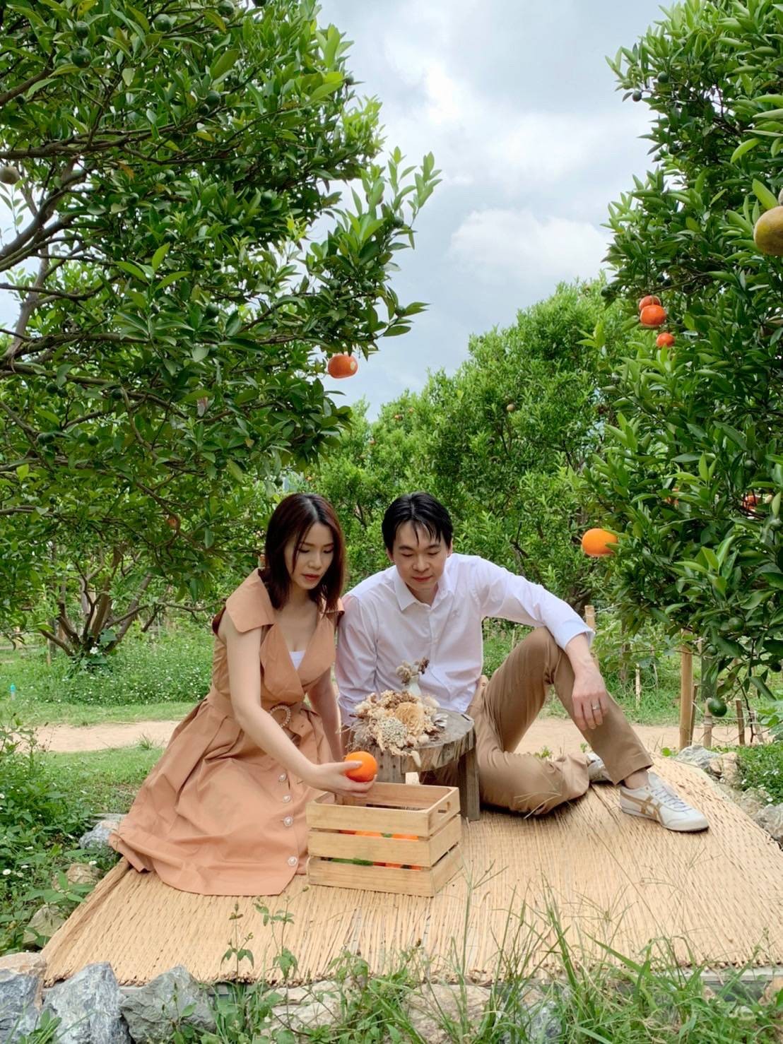 รูป สวนส้มจินจู JINJU the orange farm