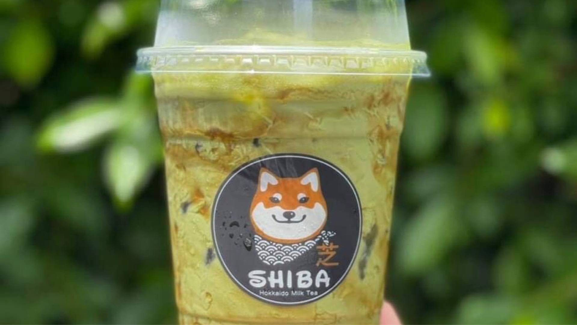 ร้าน Shiba Hokkaido Milk Tea - | รีวิวร้านอาหาร