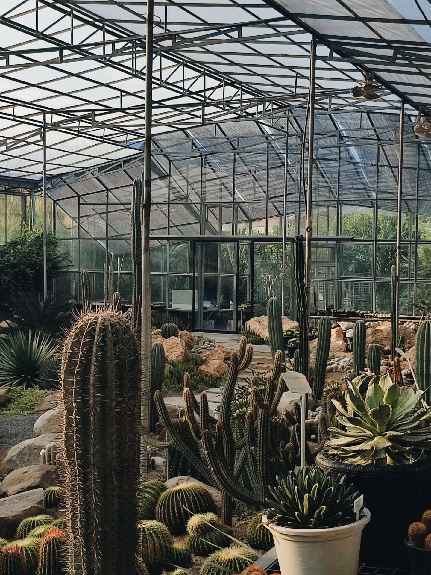 รีวิว Botanist Activity Space & Cafe - Bozziiz in Botanist - Wongnai