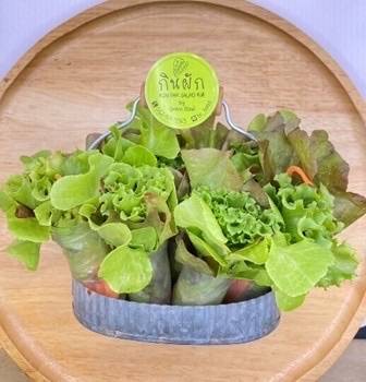 ร้าน kin pak salad roll | รีวิวร้านอาหาร - Wongnai