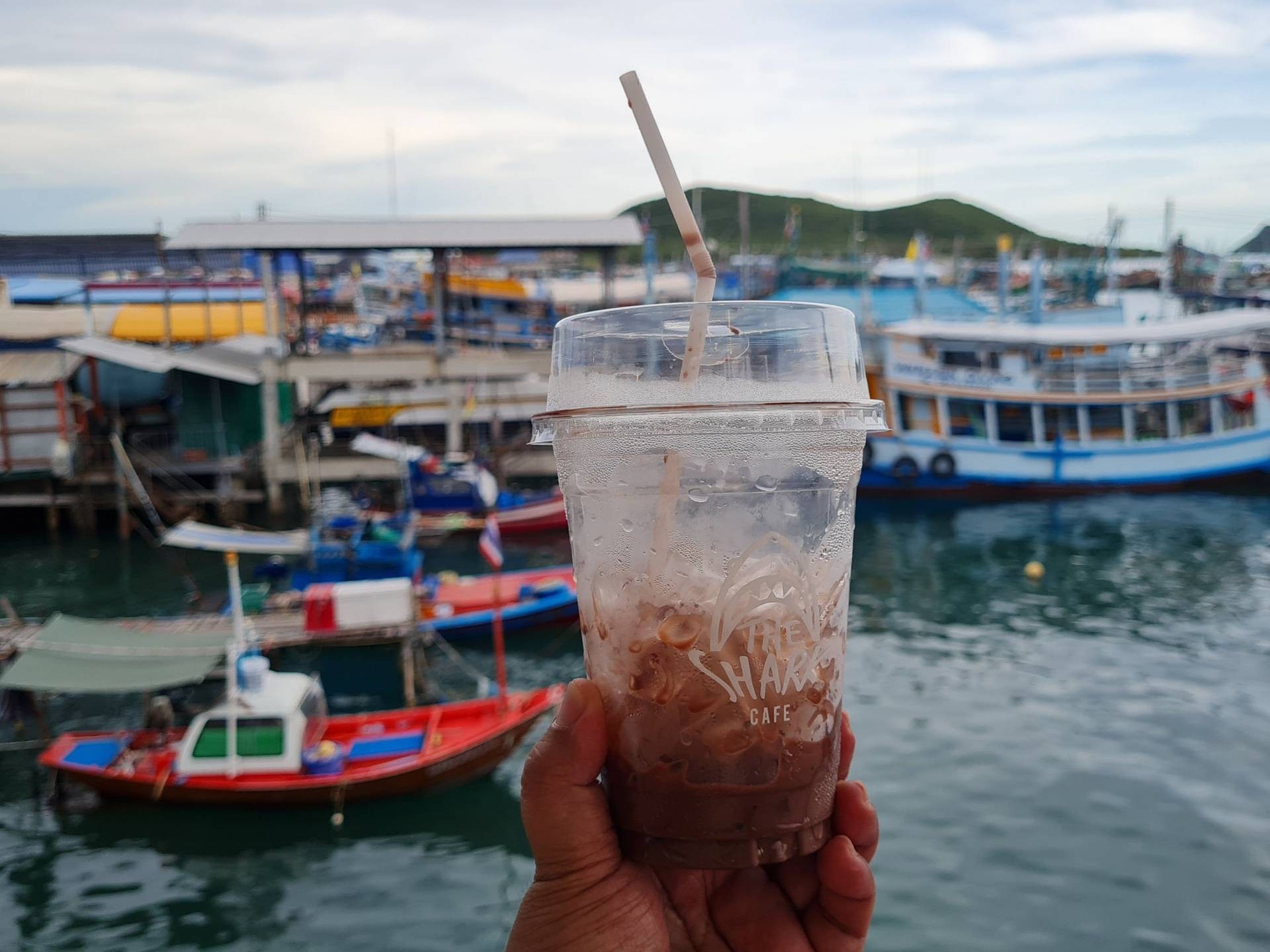 รูป The shark cafe