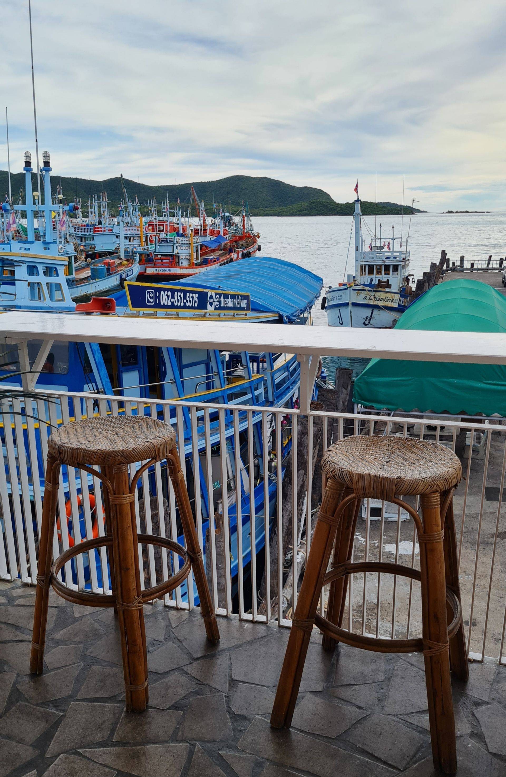 รูป The shark cafe