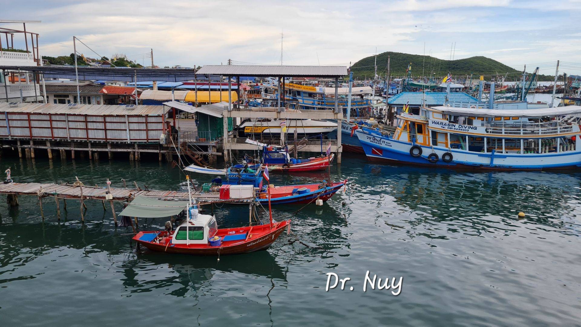 รูป The shark cafe