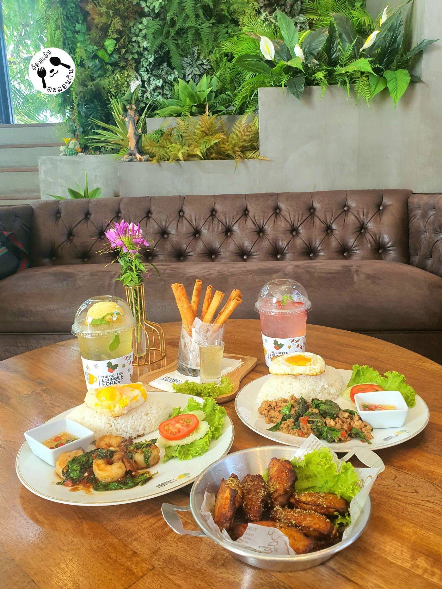 รีวิว The Coffee Lounge And Forest - คาเฟ่บรรยากาศดี ย่านราชพฤกษ์ ...