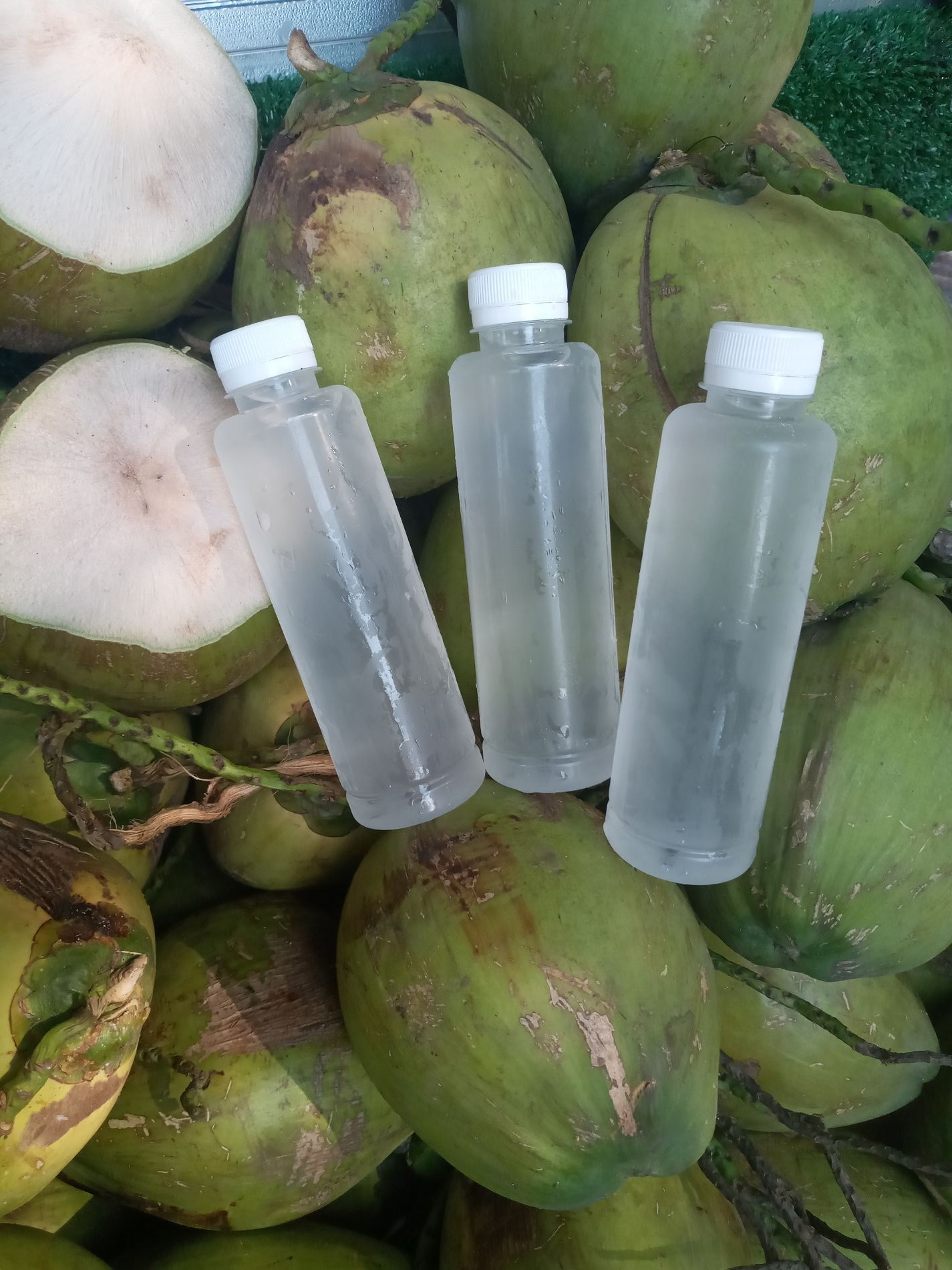 ร้าน สุชาดามะพร้าวปั่น | รีวิวร้านอาหาร