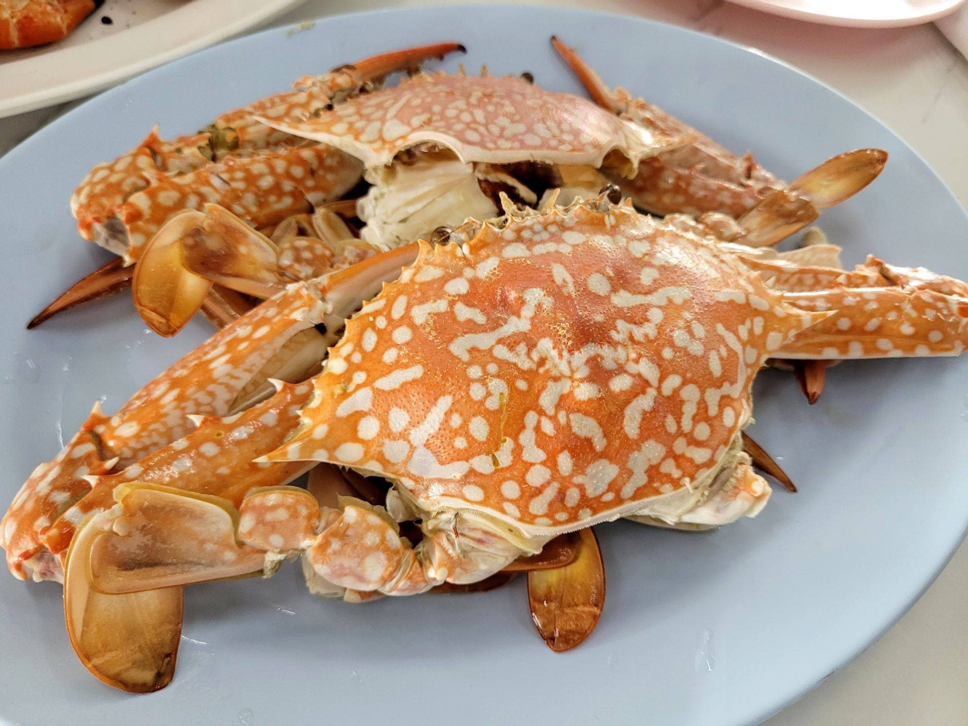 รูป ชาญซีฟู๊ด ชัยพฤกษ์ ถนนชัยพฤกษ์