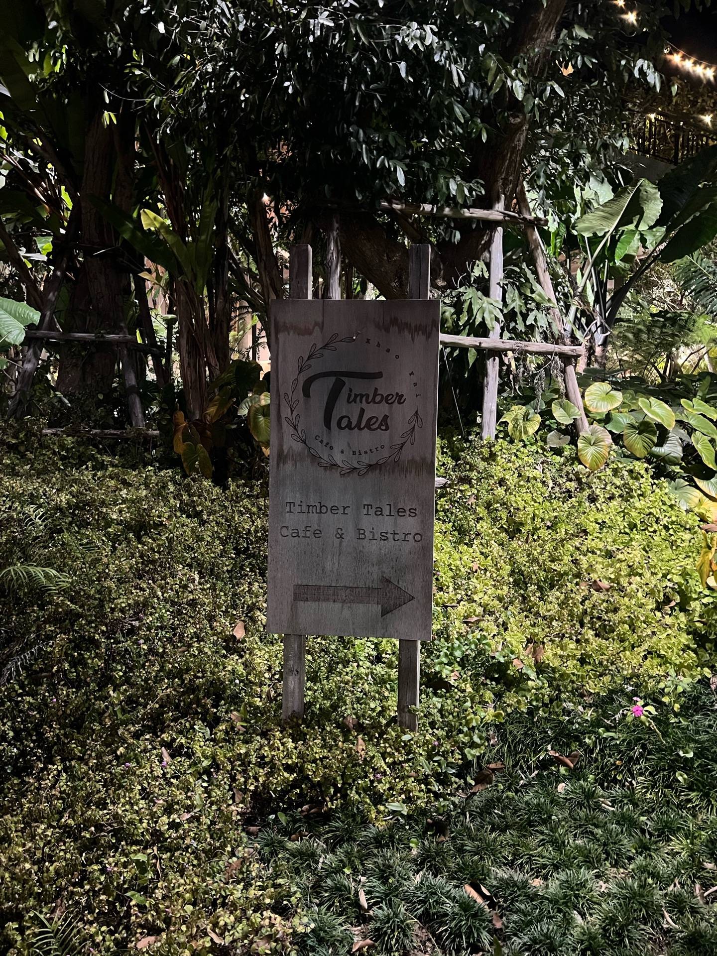 รีวิว Timber Tales Cafe and Bistro Khaoyai - บรรยากาศสวนป่า อาหารอร่อย ...
