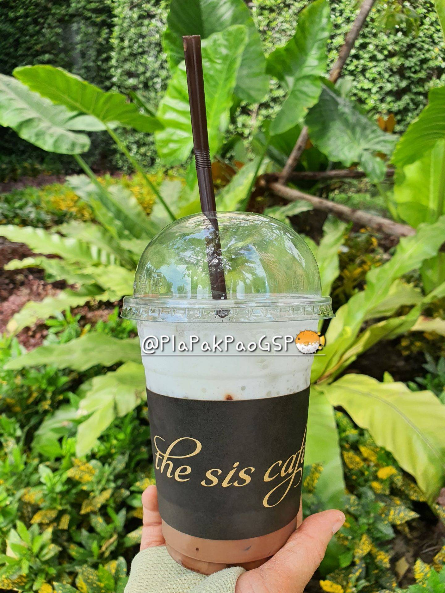 รีวิว The sis cafe - ร้านคาเฟ่น่ารัก มุ้งมิ้ง สายแคคตัสสามารถรับน้องไป ...