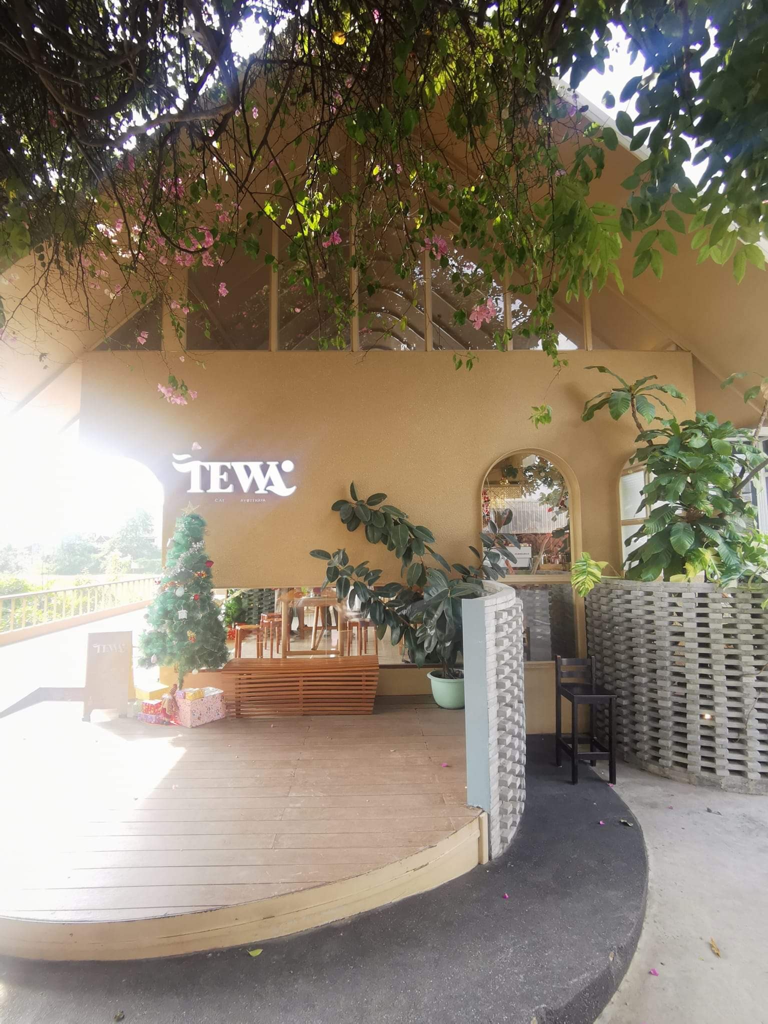 รีวิว Tewa Cafe Ayutthaya - จัดเต็มความเข้มข้นระดับพรีเมี่ยม แต่ละเมนูเป็นเอกลักษณ์ #WongnaiHNY2023