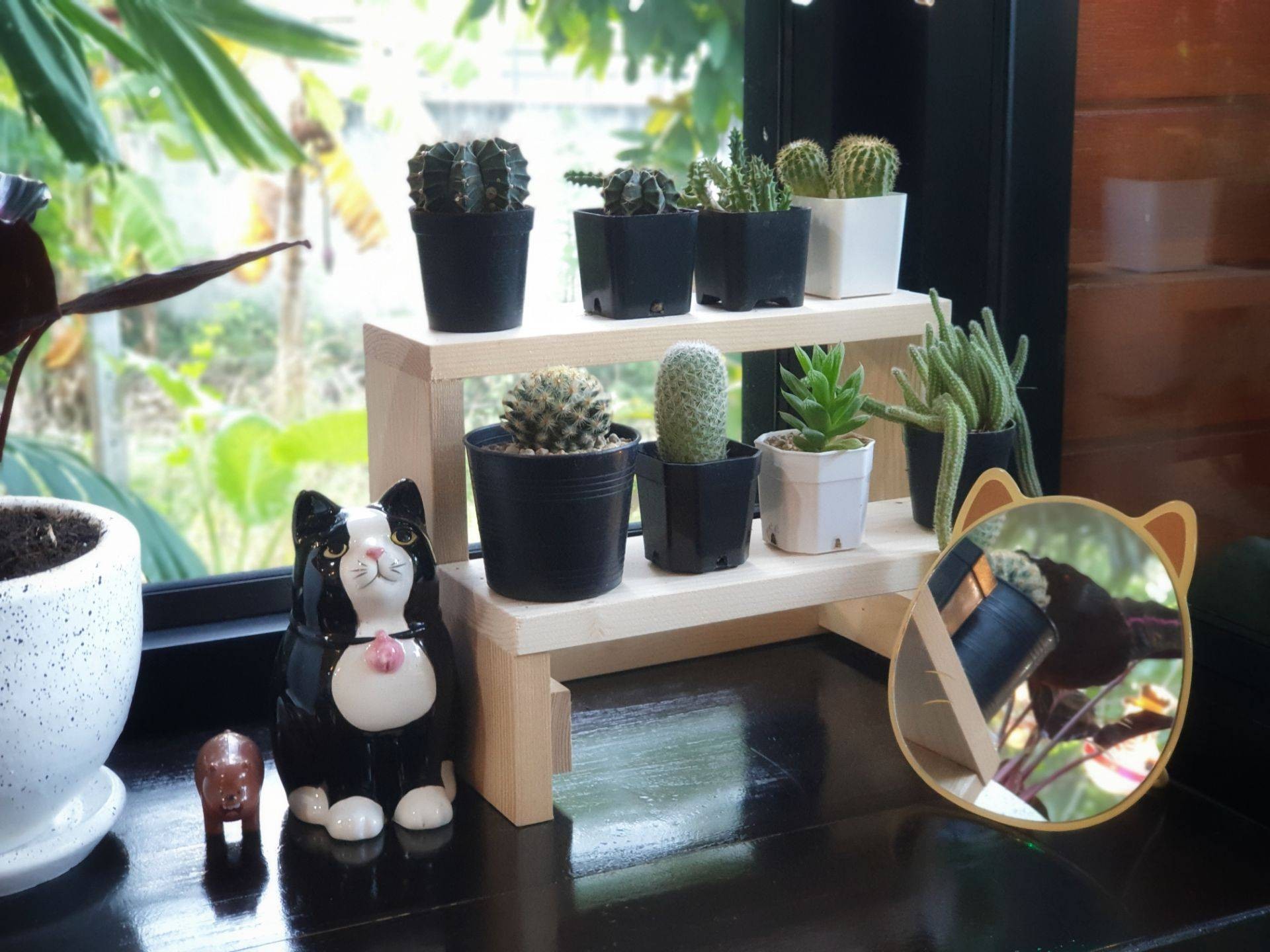 รีวิว Triple-Tree CAFE' / Slow bar Coffee นครปฐม - บรรยากาศโฮมมี่ กาแฟ ...