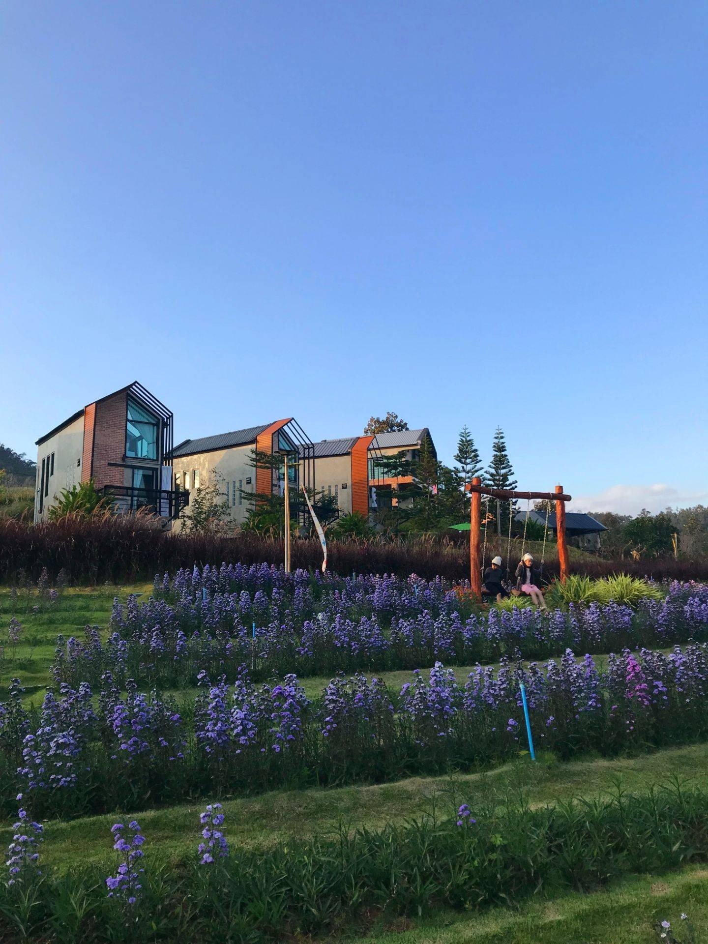 รีวิว ม่อนเมิง Mon Moeng - บ้านพักวิวสวนดอกไม้สวย สัมผัสหมอกยามเช้าแบบฟินๆ