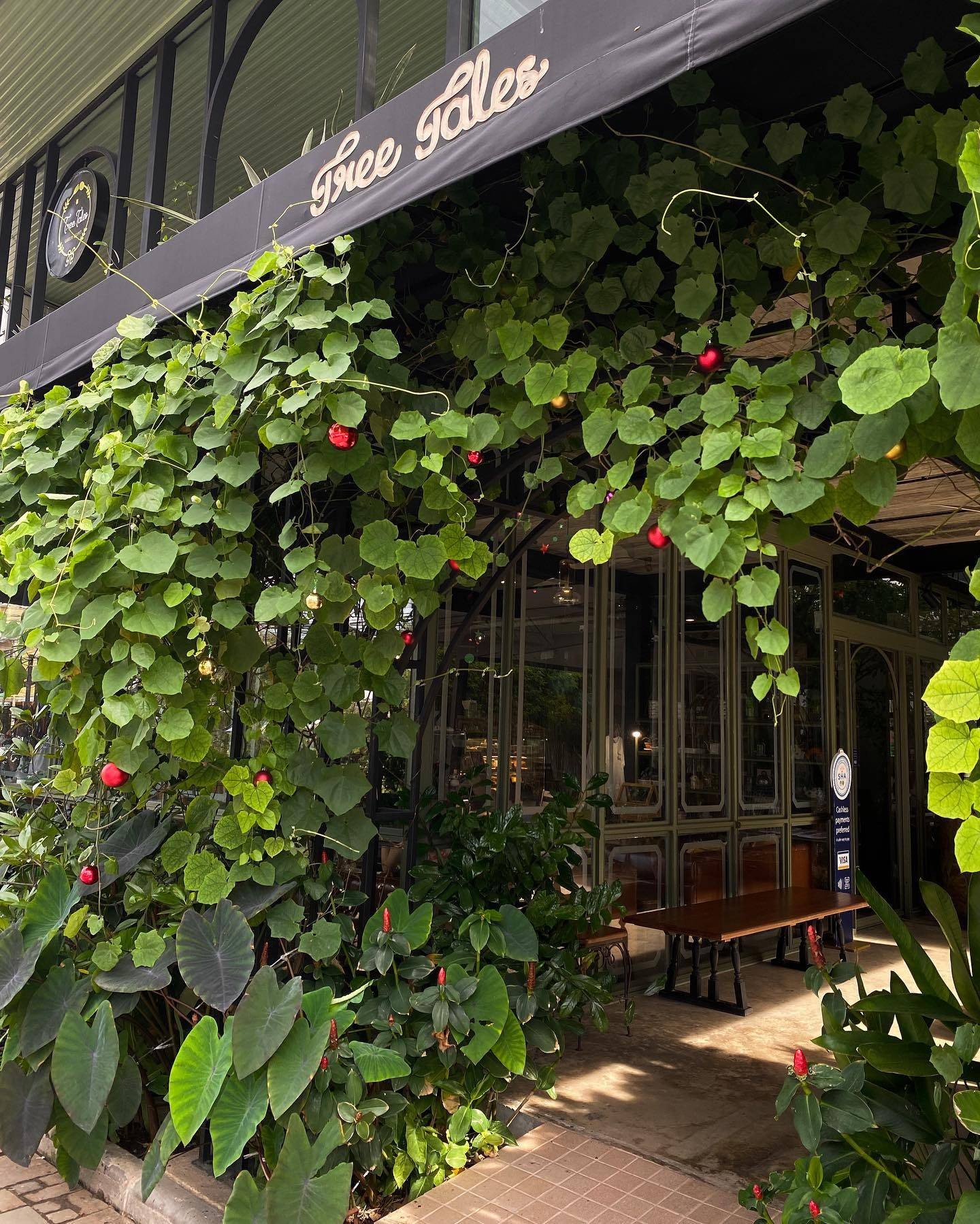 รูป Tree Tales Cafe พัทยา นาเกลือ