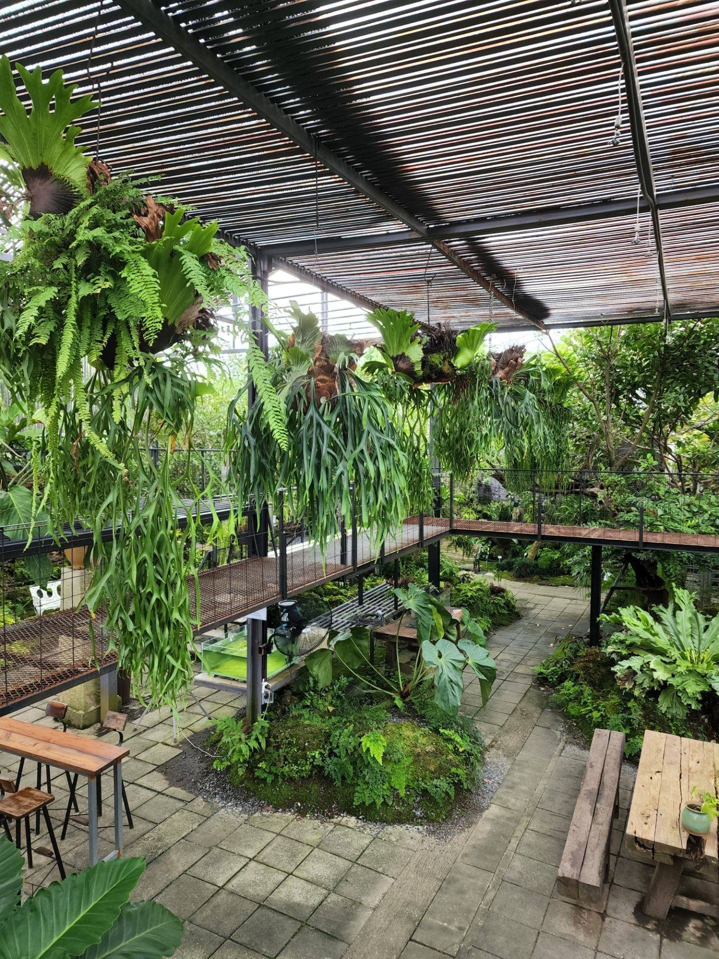 รูป Botanist Activity Space & Cafe - Wongnai