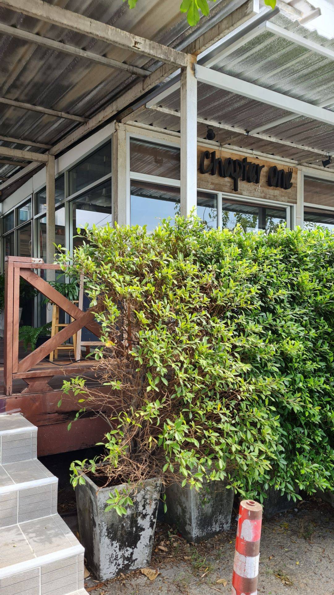 รีวิว Chapter One Cafe - ชานม นมเยอะ