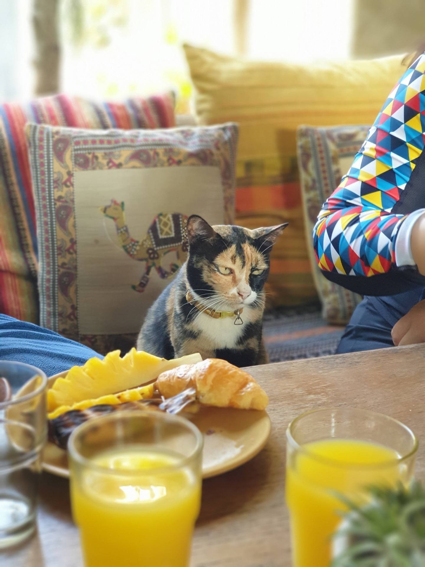 รูป Pranberry Earth