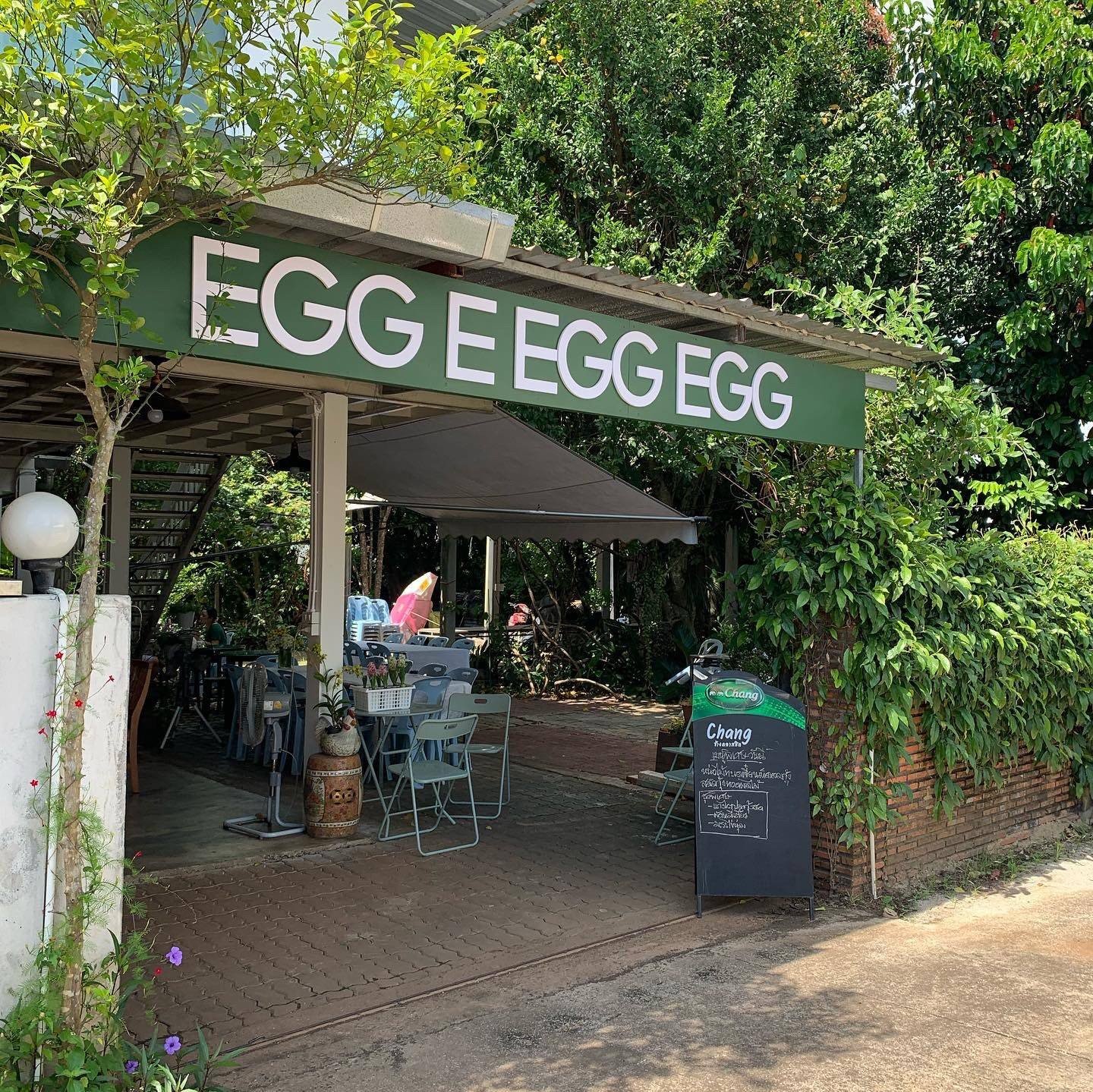 รูป Egg E Egg Egg ตรัง