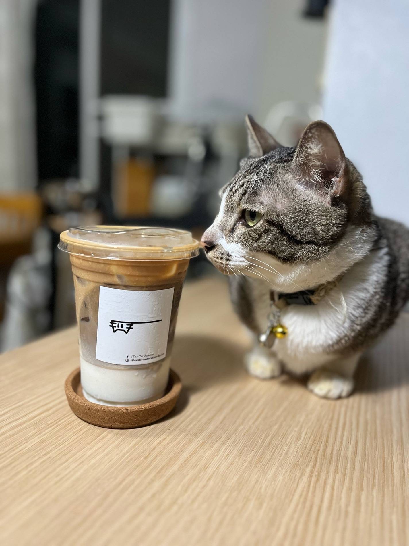 ร้าน The Cats Roaster Specialty Coffee สาขาหลัก | รีวิวร้านอาหาร