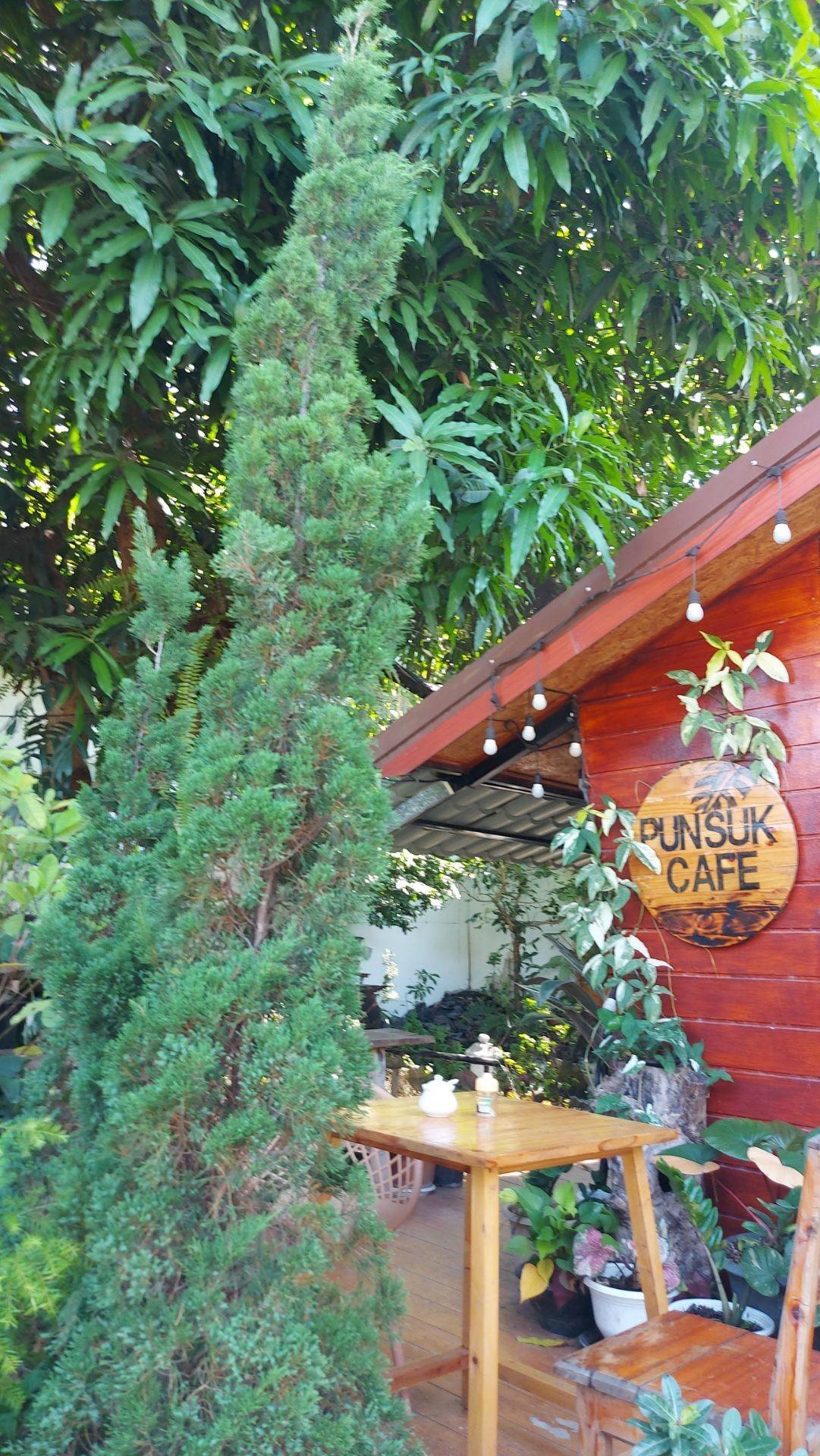 รูป Punsuk café and Garden - - Wongnai