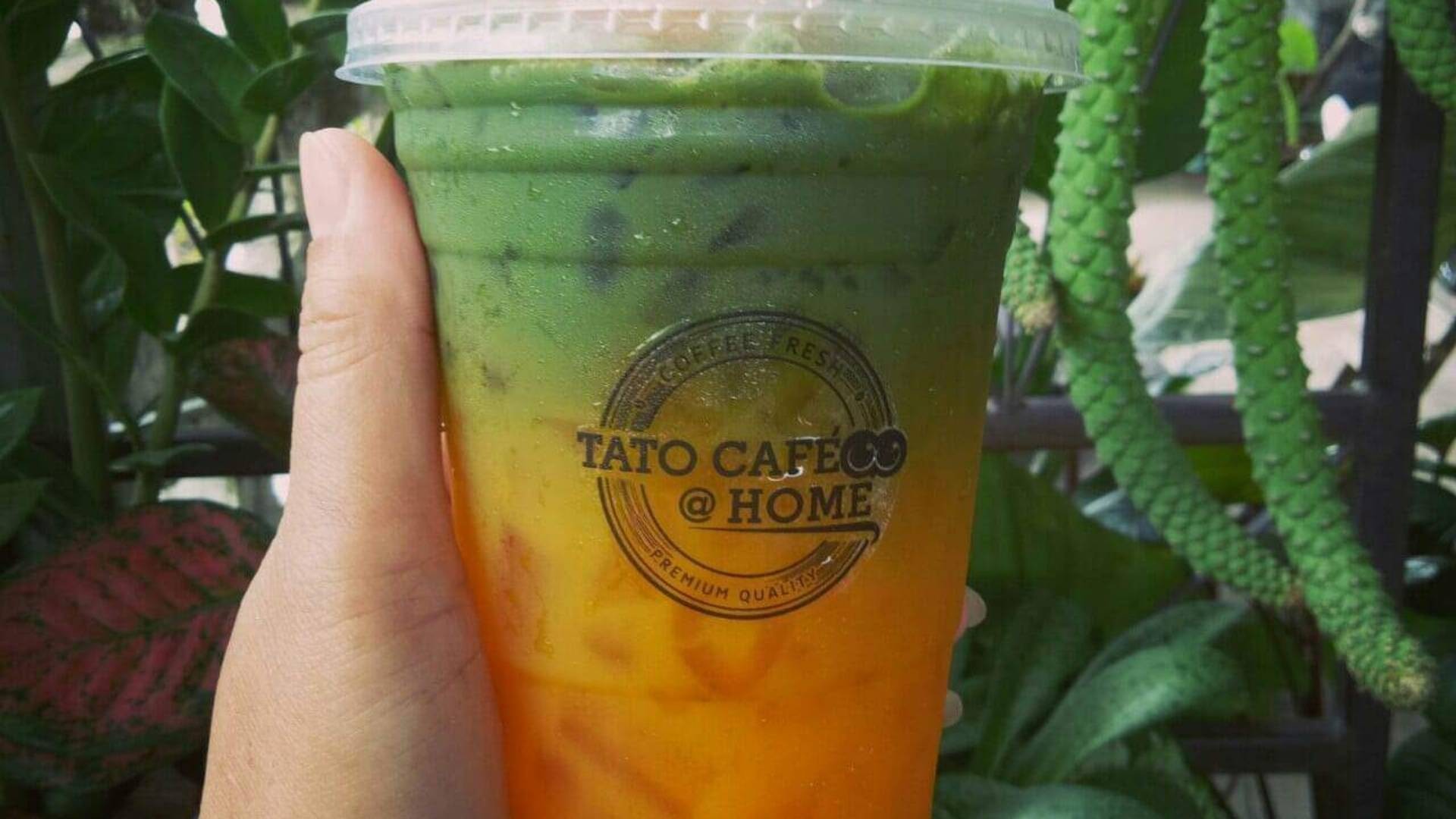 Tato Cafe'@Home - สั่งอาหารเดลิเวอรี | Wongnai x LINE MAN