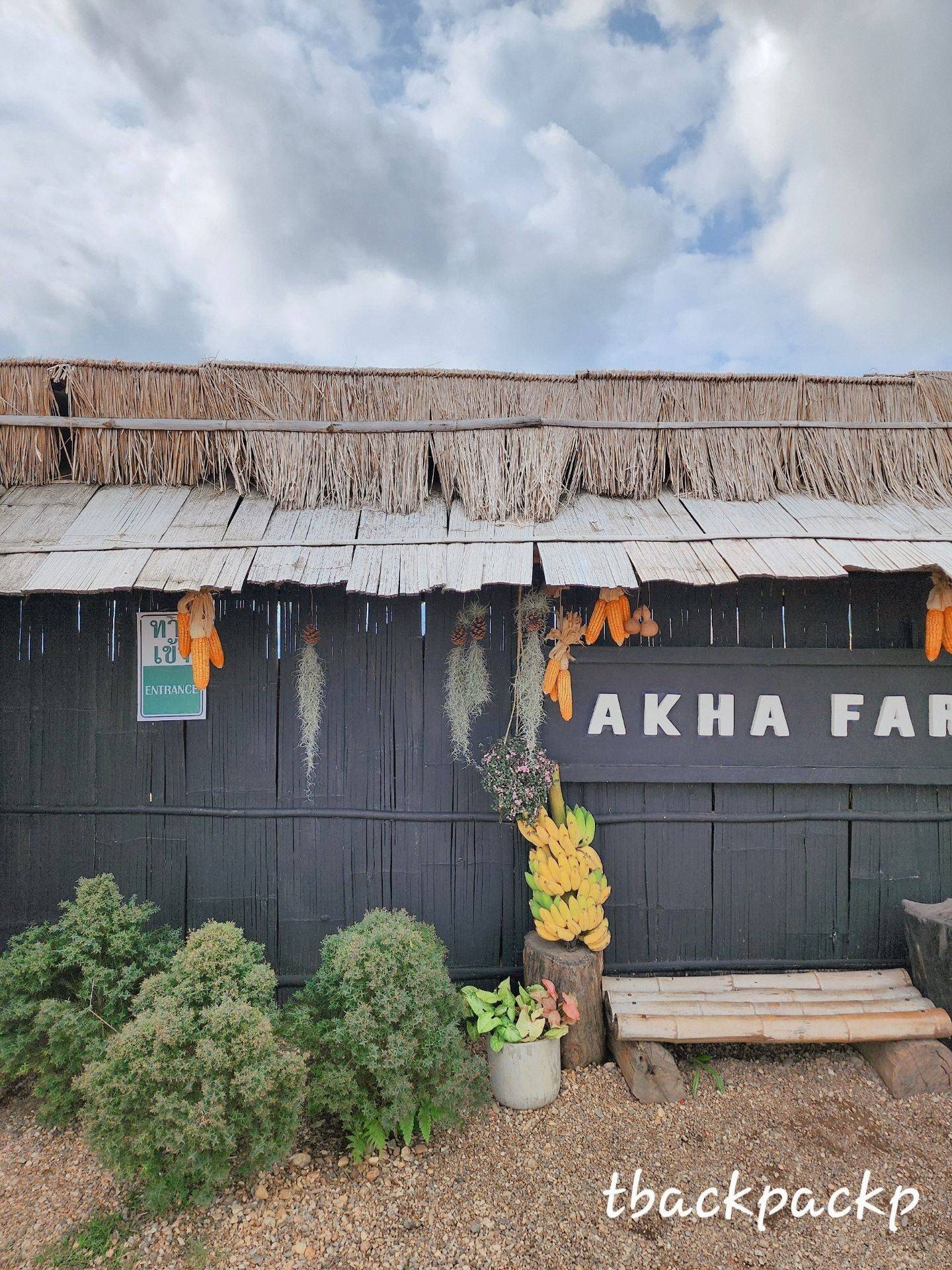 รีวิว Akha Farmville - คุ้มค่าแก่การเดินทางมา วิวดี น้องแกะน่ารัก 🐏🐑