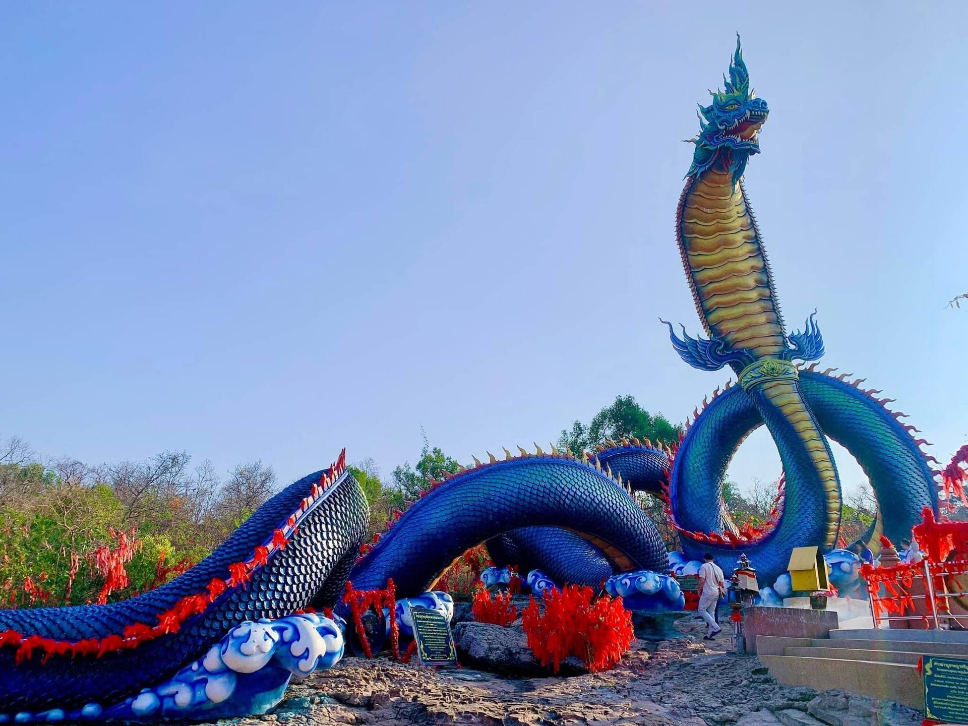 รีวิว Bolovan Coffee - พญานาคอีกหนึ่งลีลา เป็นเอกลักษณ์