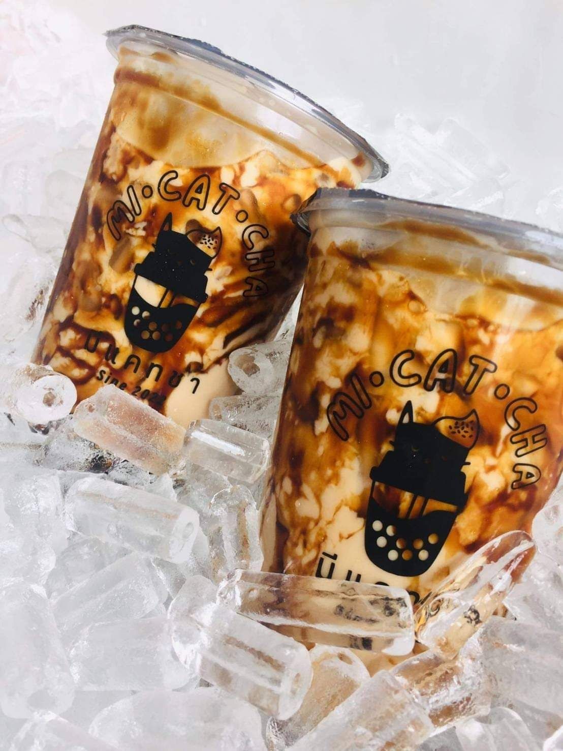 ร้าน Mi Cat Cha | รีวิวร้านอาหาร - Wongnai