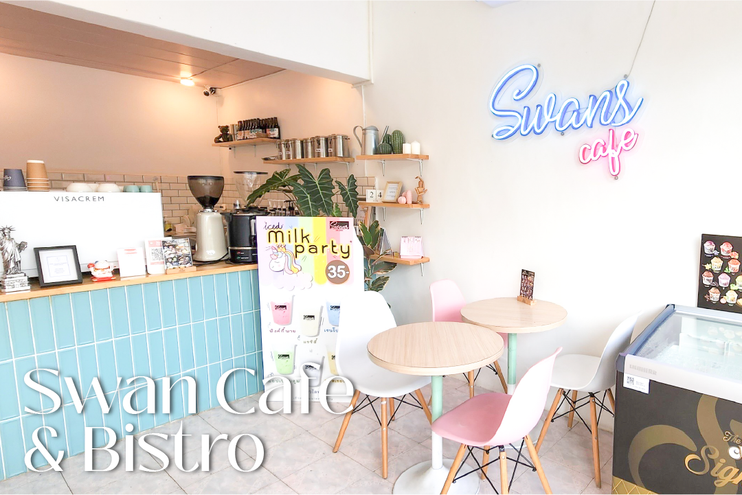 รีวิว Swans cafe & bistro 2 ปากเกร็ด - ร้านคาเฟ่แมว 🐱 ย่านปากเกร็ด