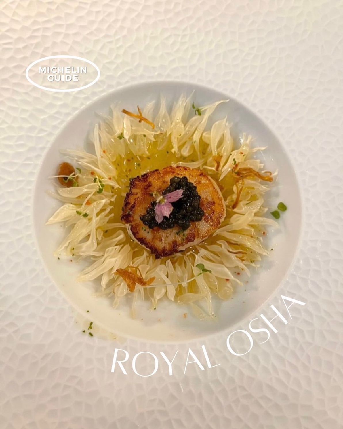 หอยเชลล์และคาเวียร์กับยำส้มโอ ร้าน Royal Osha ร่วมฤดี
