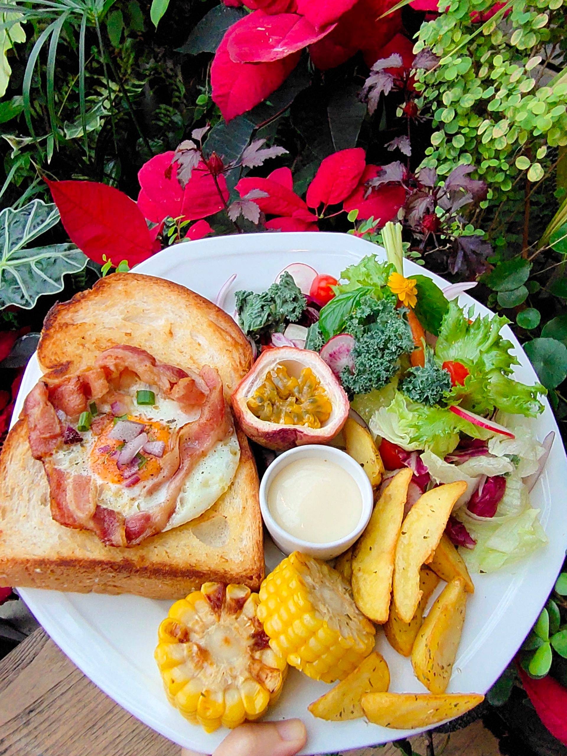 My Morning ร้าน Sun Rays Cafe