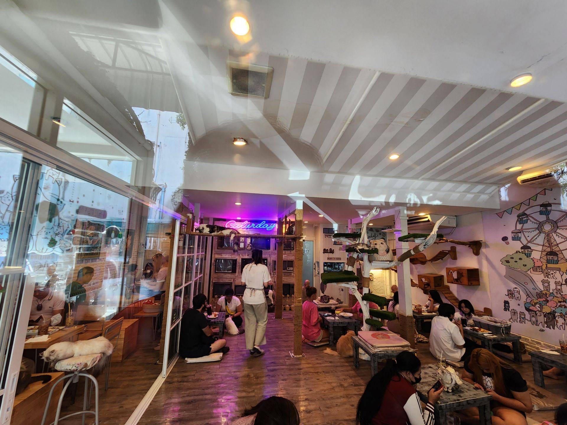 รูป Caturday cat cafe