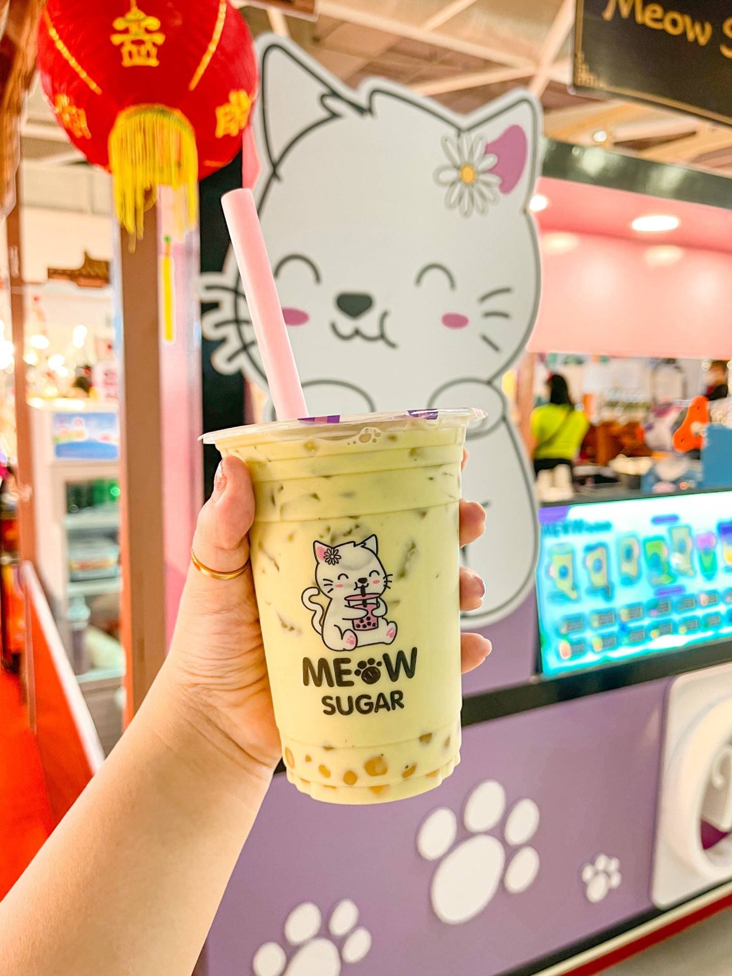 รีวิว MEOW SUGAR ทิพวัล - คาเฟ่ชานมแมวเหมียว😸
