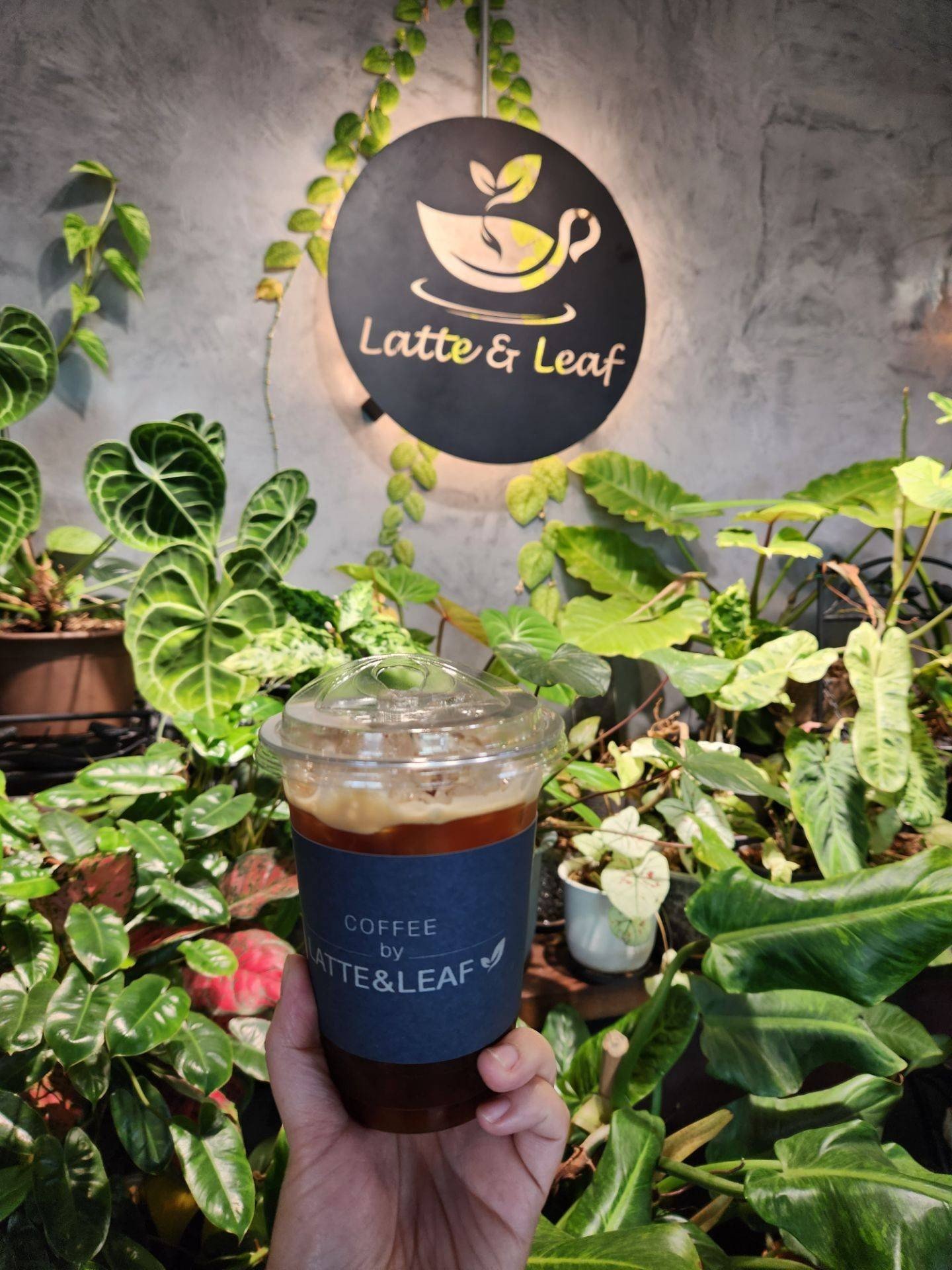 รีวิว Latte & Leaf - กาแฟว่าเด็ดแล้ว การแต่งร้านเด็ดกว่า