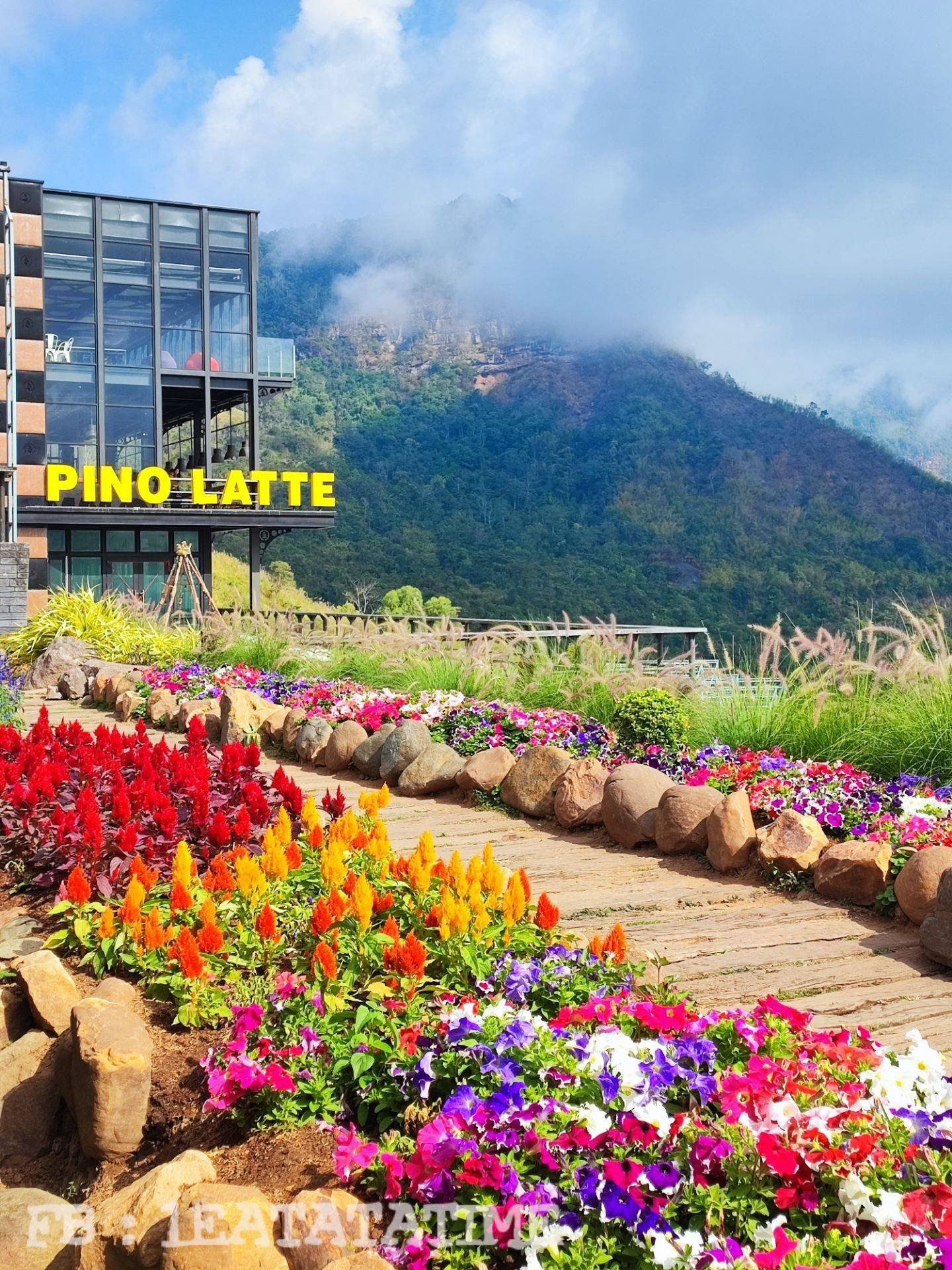 รีวิว Pino Latte Resort & Cafe - จุดเช็คอินยอดนิยม