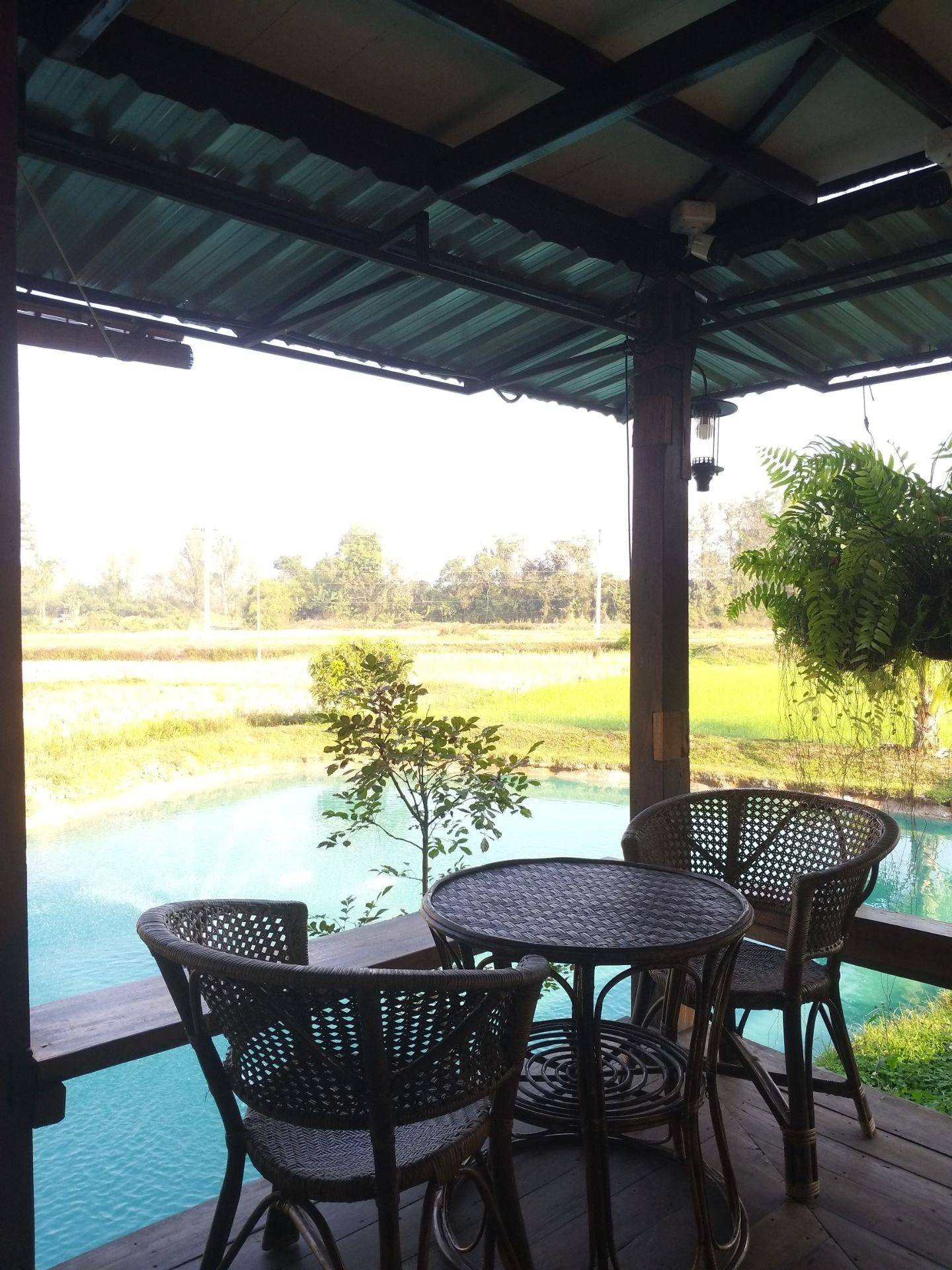 รีวิว Hatake Cafe & Homestay ตำบลไชยสถาน - ร้านกาแฟ ครัวซองที่เรียบง่าย กับ บรรยากาศทุ่งนา ไม่ ...
