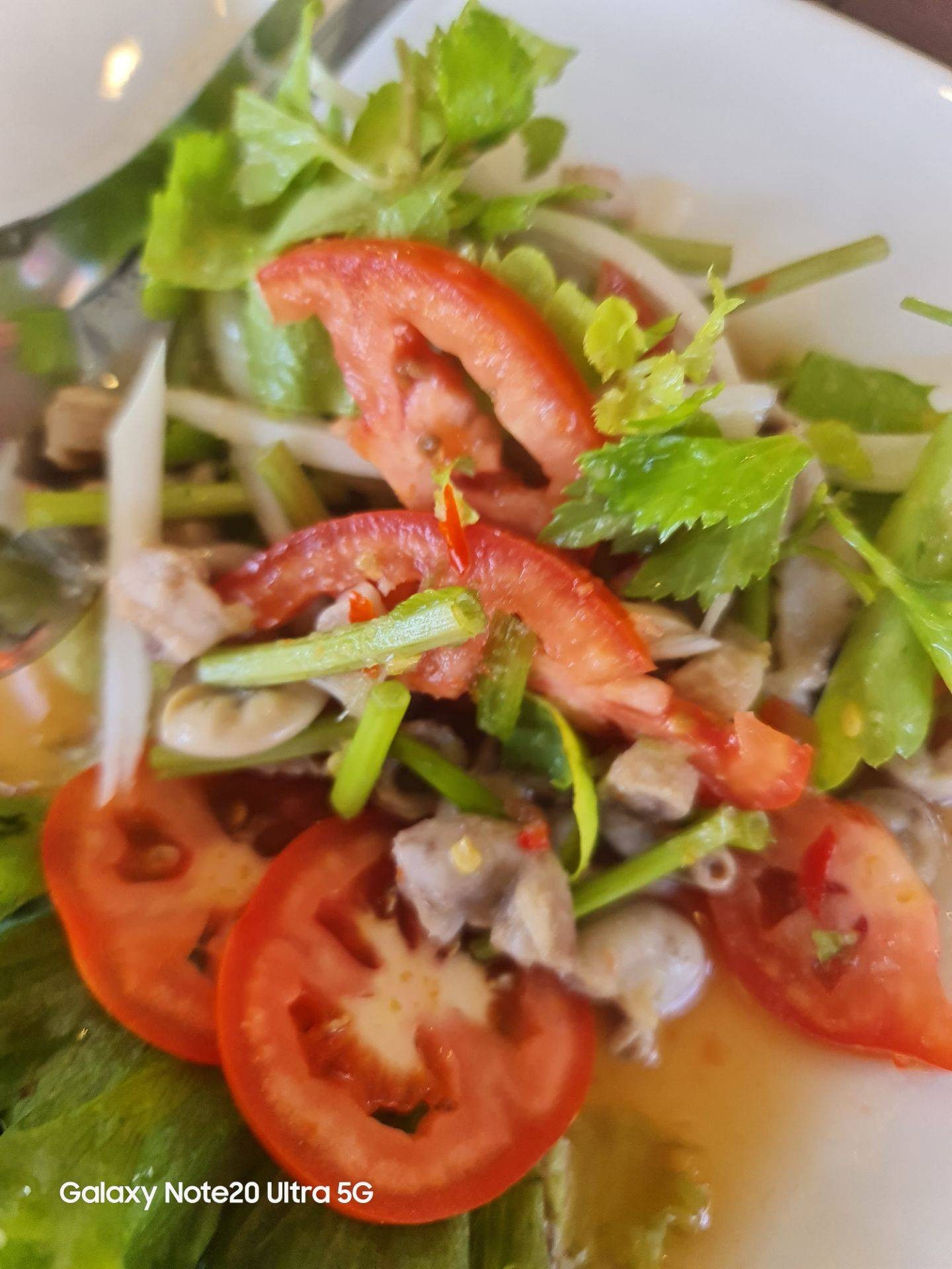 รูป ภูนางฟ้า Angel Hill Cafe เขายายเที่ยง