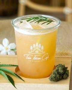 ร้าน Trio Farm Cafe @ไร่ทรีโอ กาญจนบุรี | รีวิวร้านอาหาร