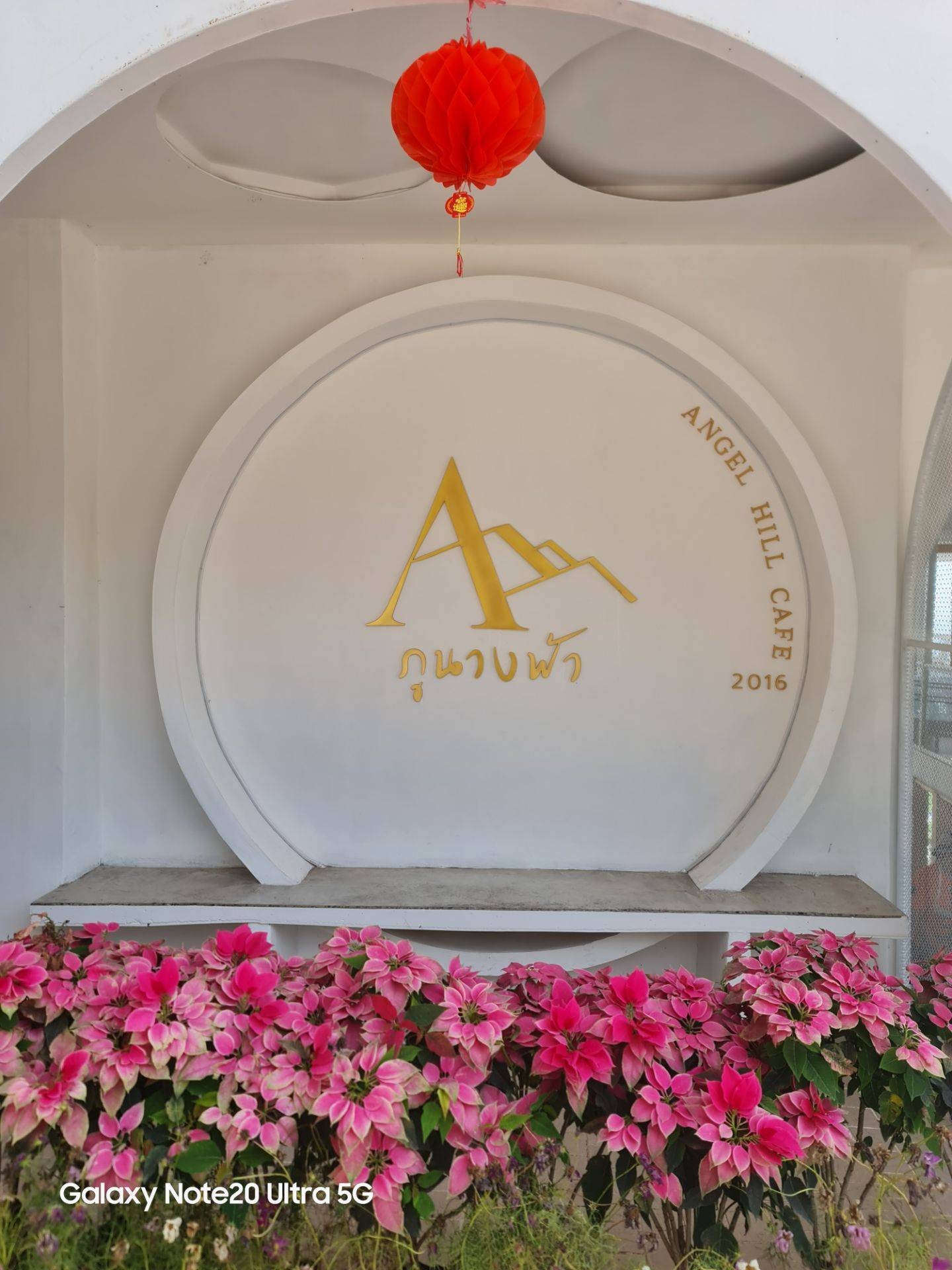 รูป ภูนางฟ้า Angel Hill Cafe เขายายเที่ยง