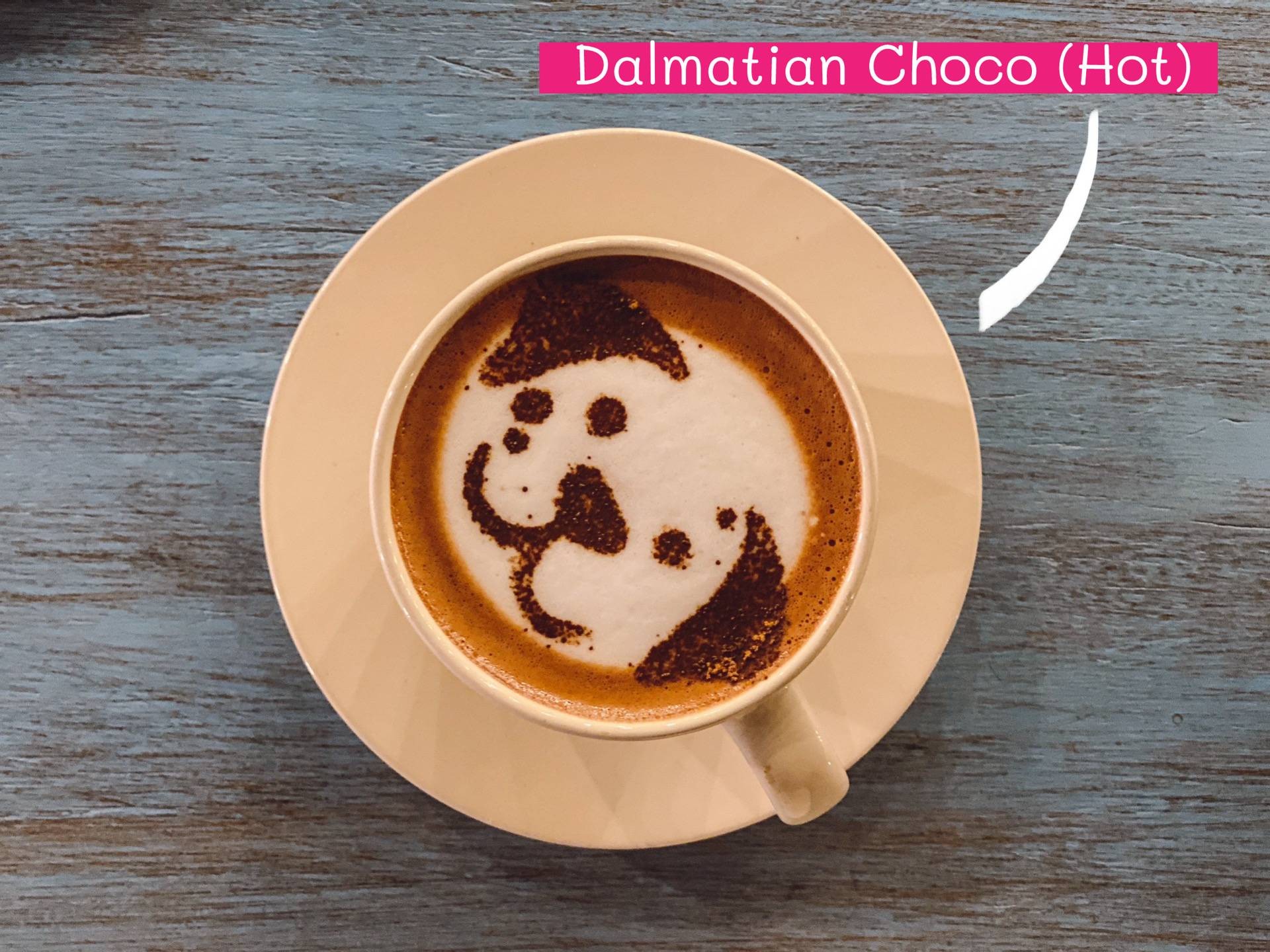 รูป Dosan Dalmatian