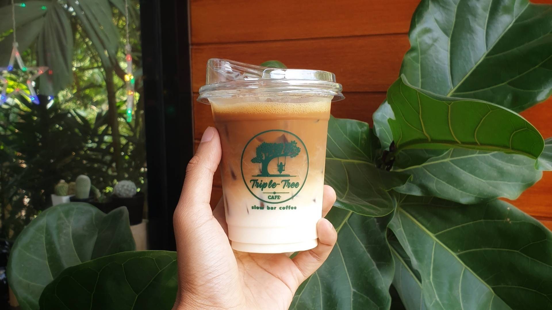 ร้าน Triple-Tree CAFE' นครปฐม | รีวิวร้านอาหาร - Wongnai