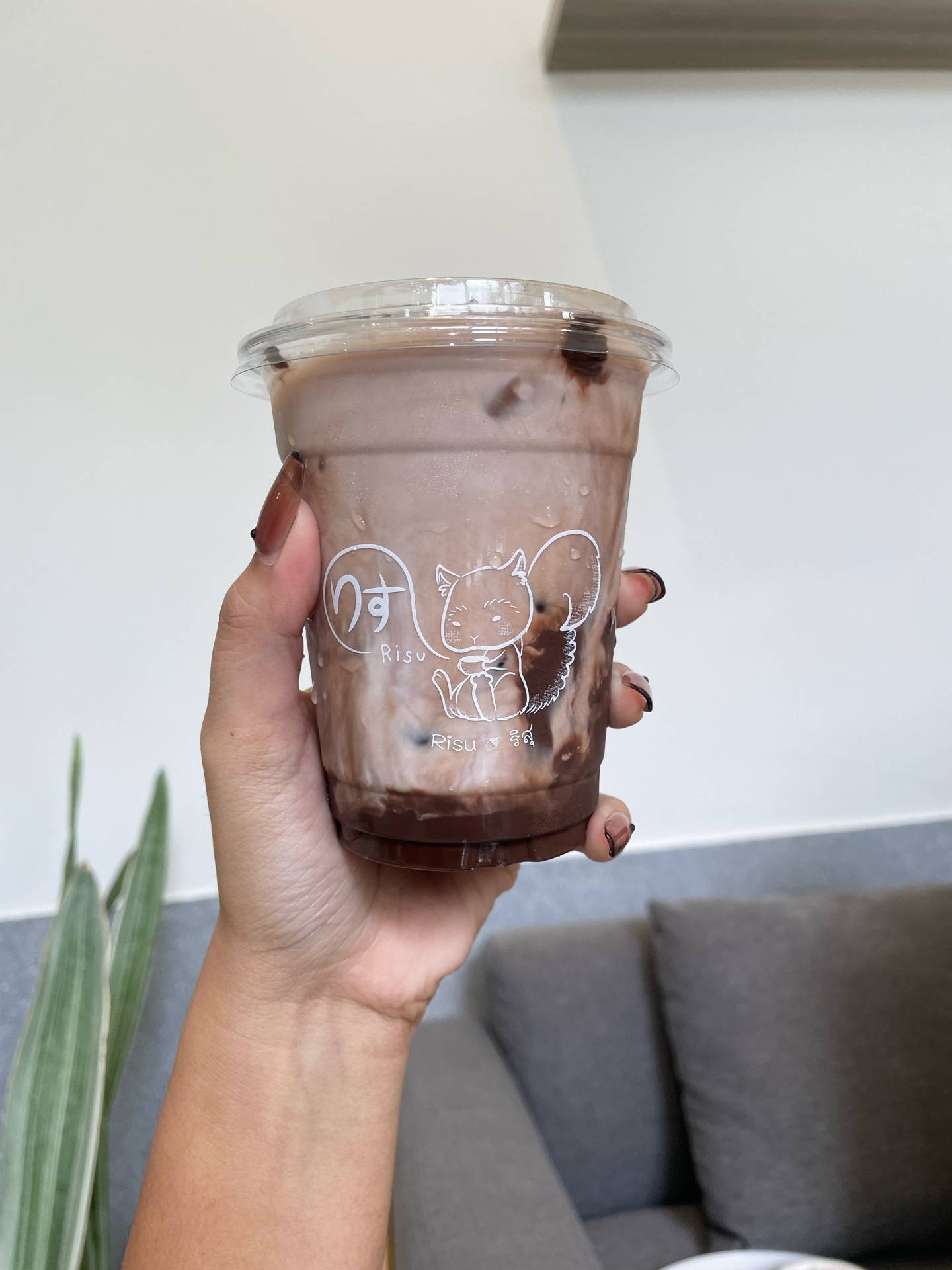 รีวิว RISU CAFE เอกมัย 12 - คาเฟ่น่ารัก ย่านเอกมัยไปง่ายมากกก - Wongnai