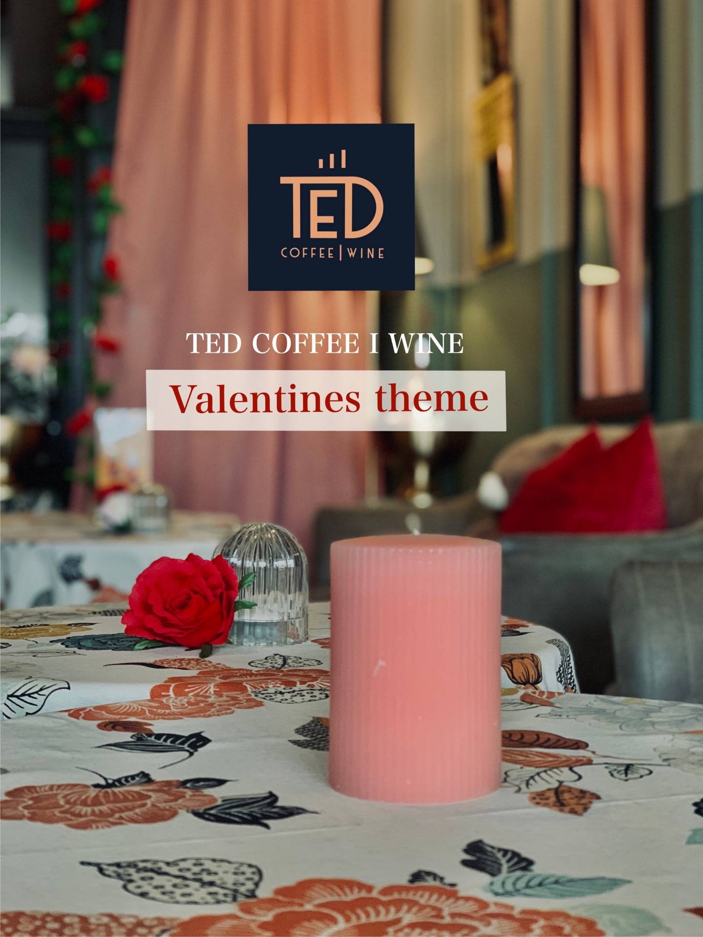 รีวิว TED COFFEE | WINE พระรามเก้า49 - ถ่ายรูปช่วงวาเลนไทน์ - Wongnai