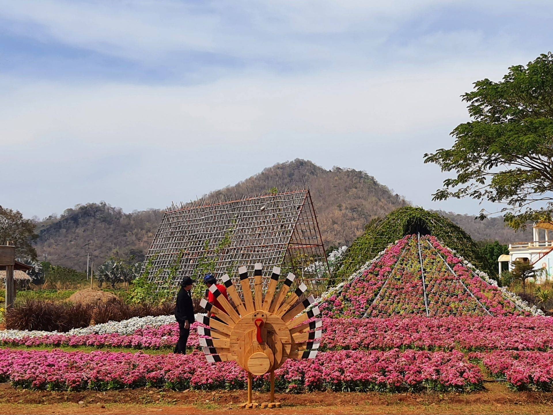 รูป สวนสัปปายะ Cactus Farm