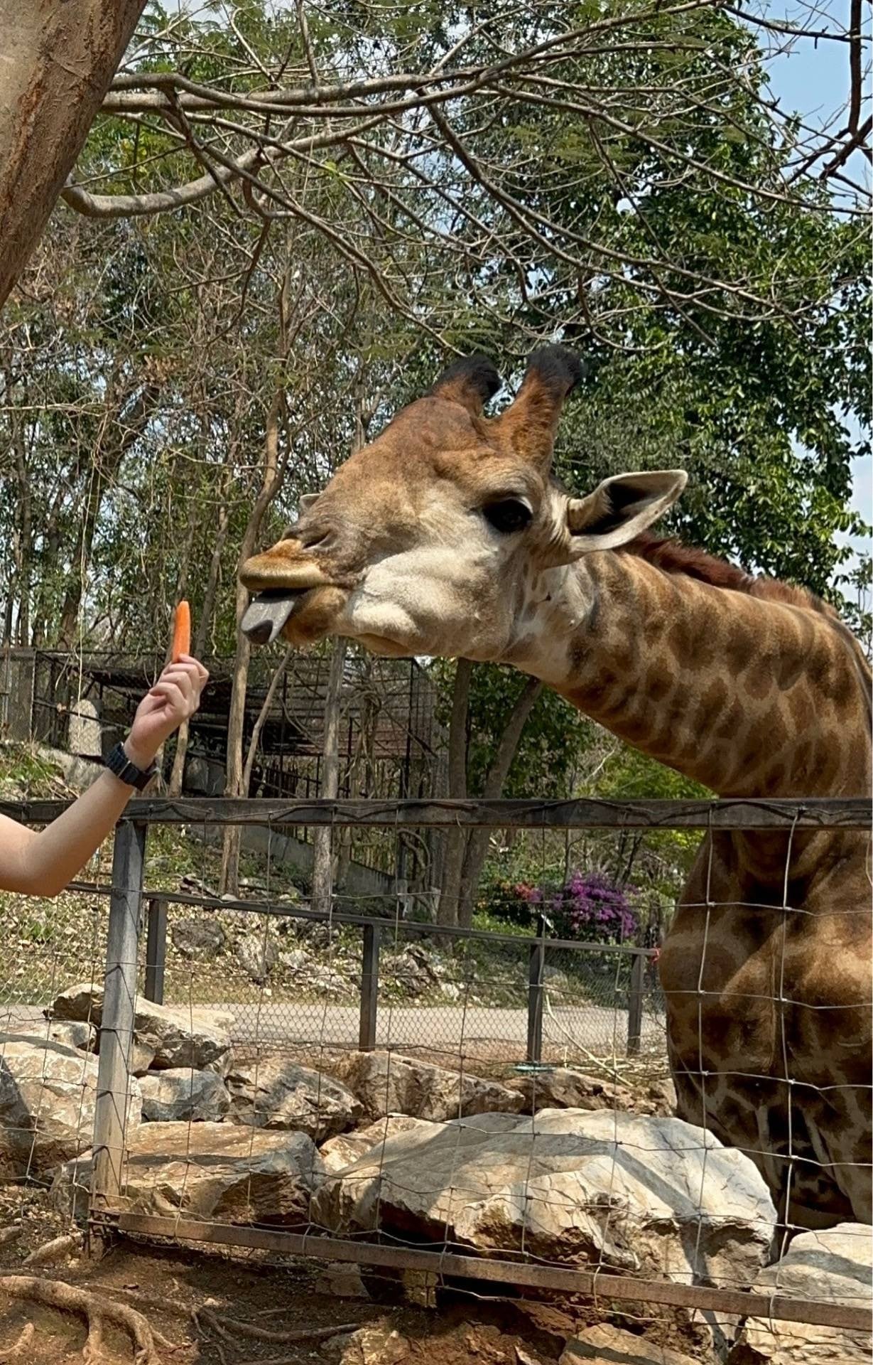 รูป Bonanza Exotic Zoo - Wongnai