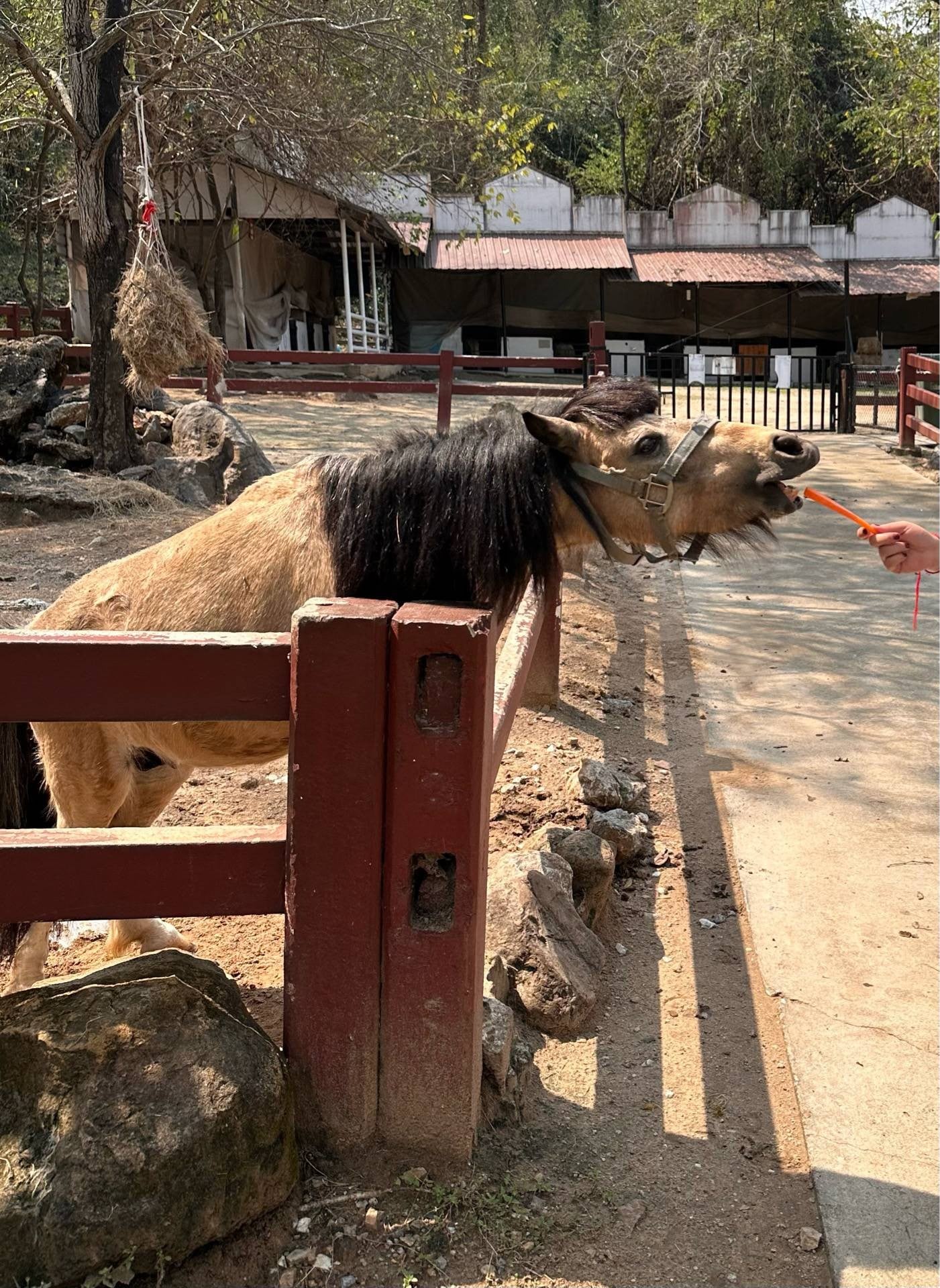 รูป Bonanza Exotic Zoo - Wongnai