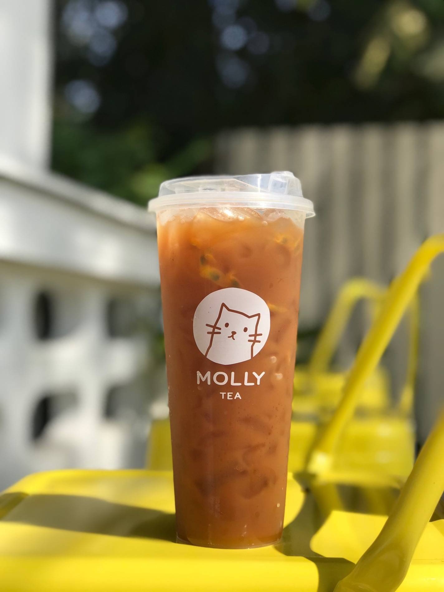 ร้าน Molly tea ประตู3เลยพิทย์ | รีวิวร้านอาหาร