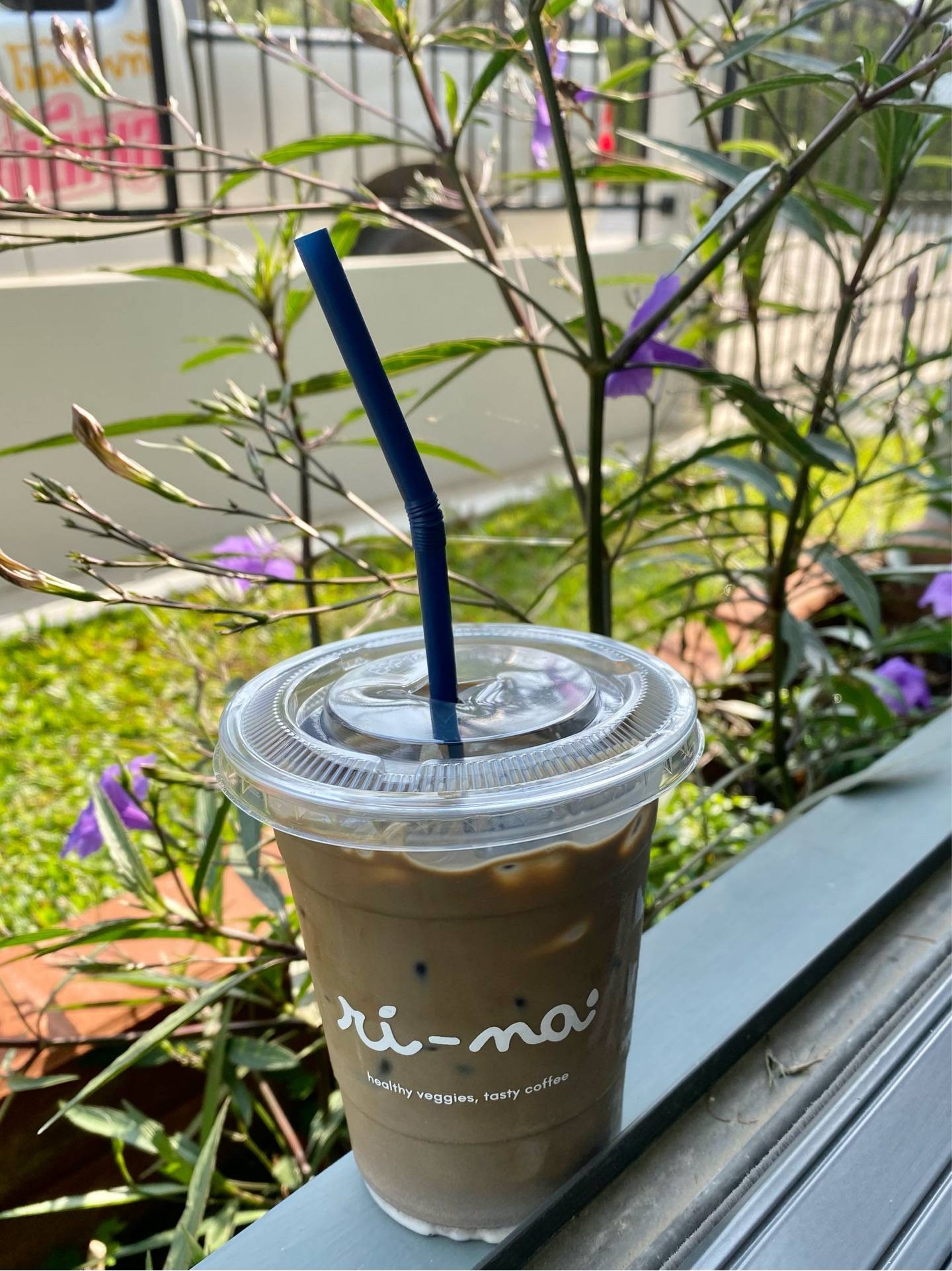 รีวิว Rina Farm x Cafe - สลัดผักดี เครื่องดื่มก็ดี